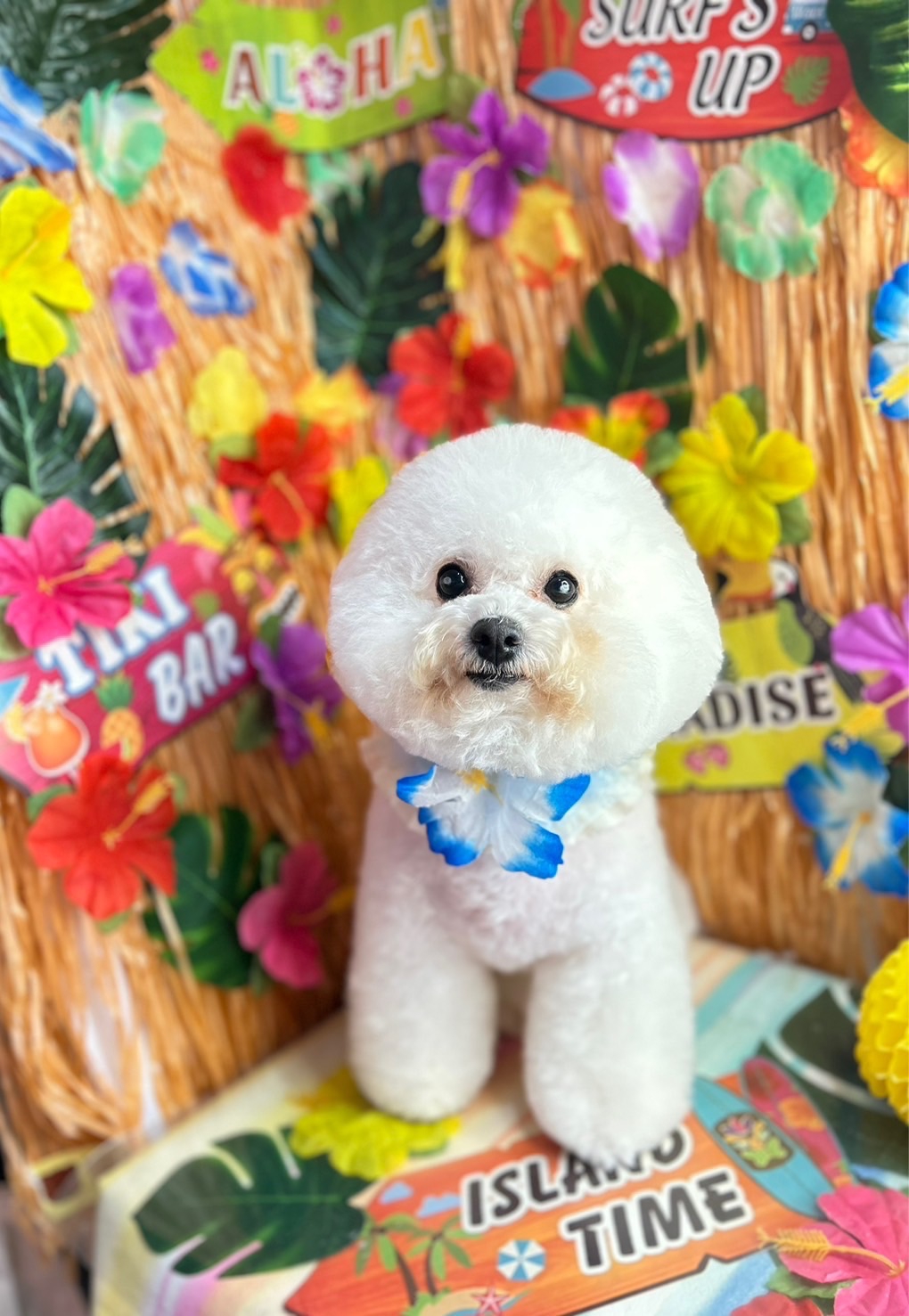 Team jumis world | Jumi’sWorld Blog