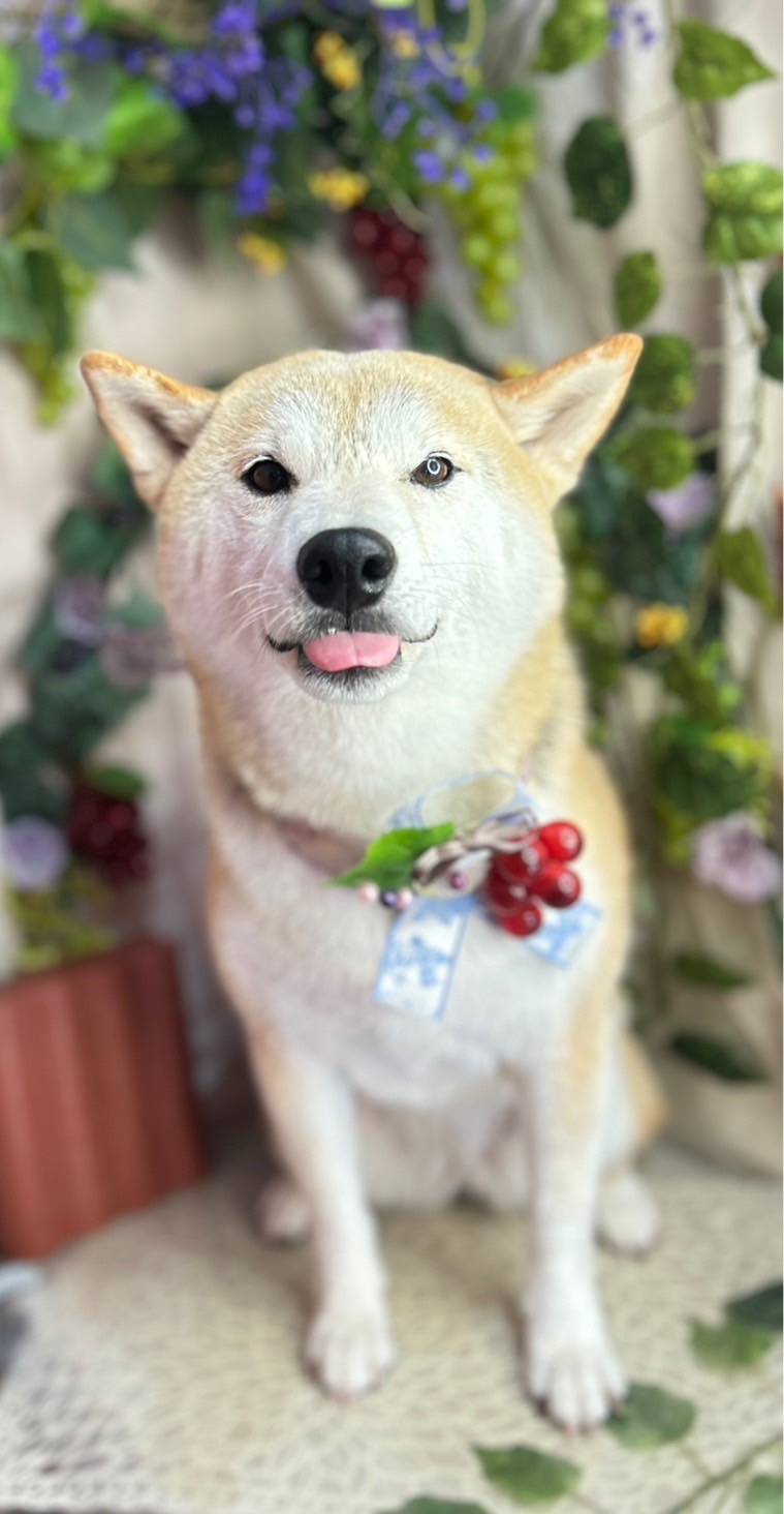 Team jumis world | Jumi’sWorld Blog