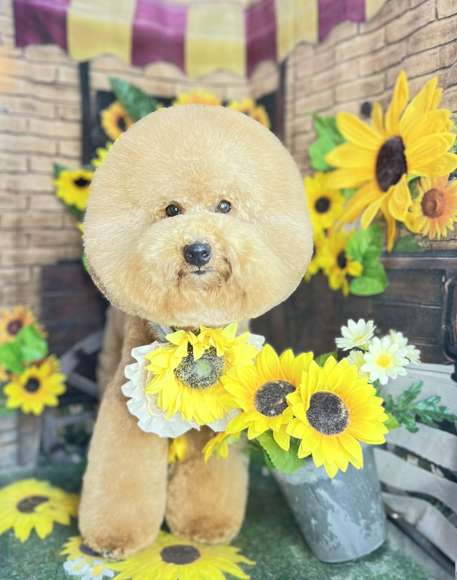 Team jumis world | Jumi’sWorld Blog