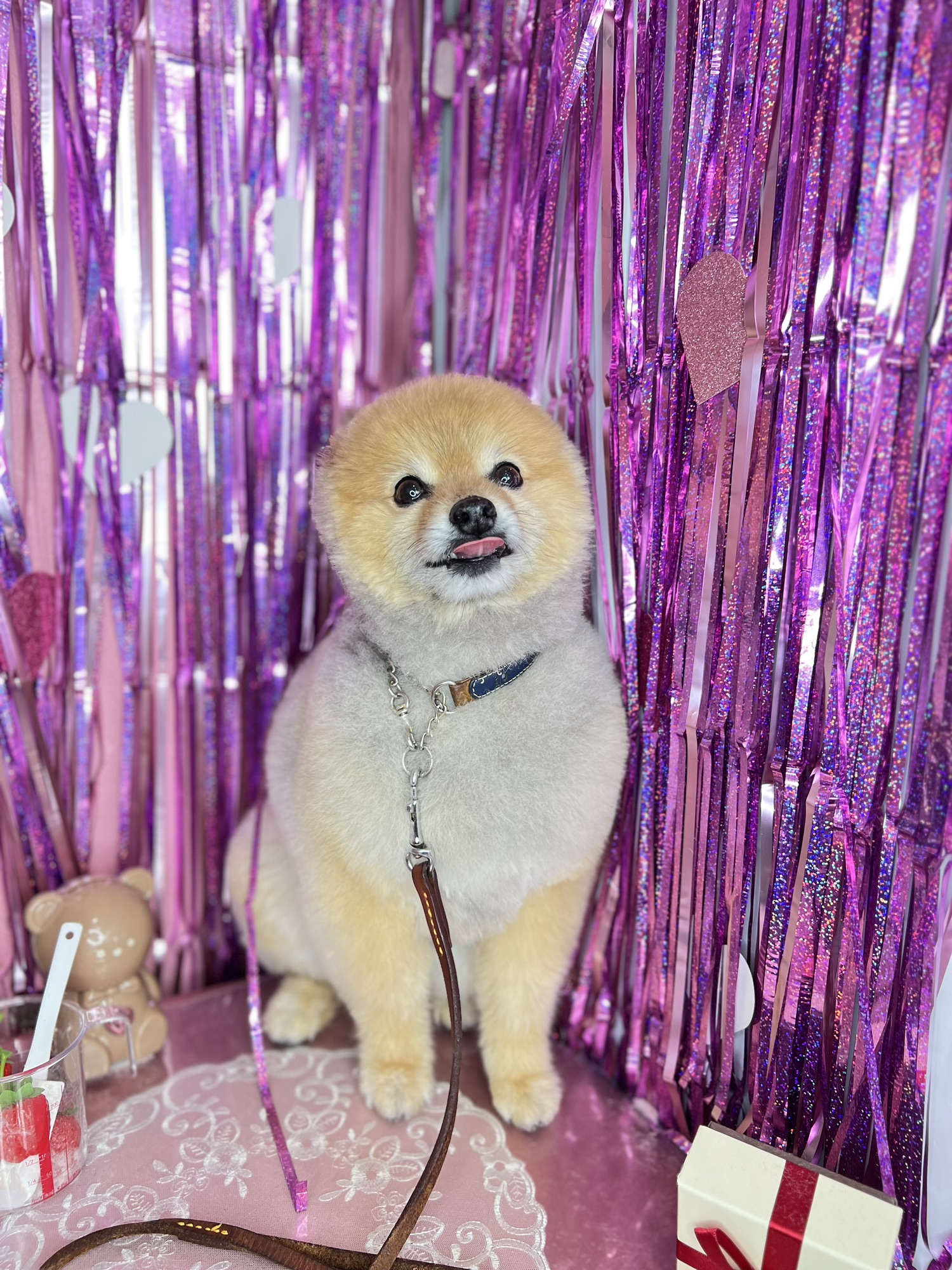 Team jumis world | Jumi’sWorld Blog