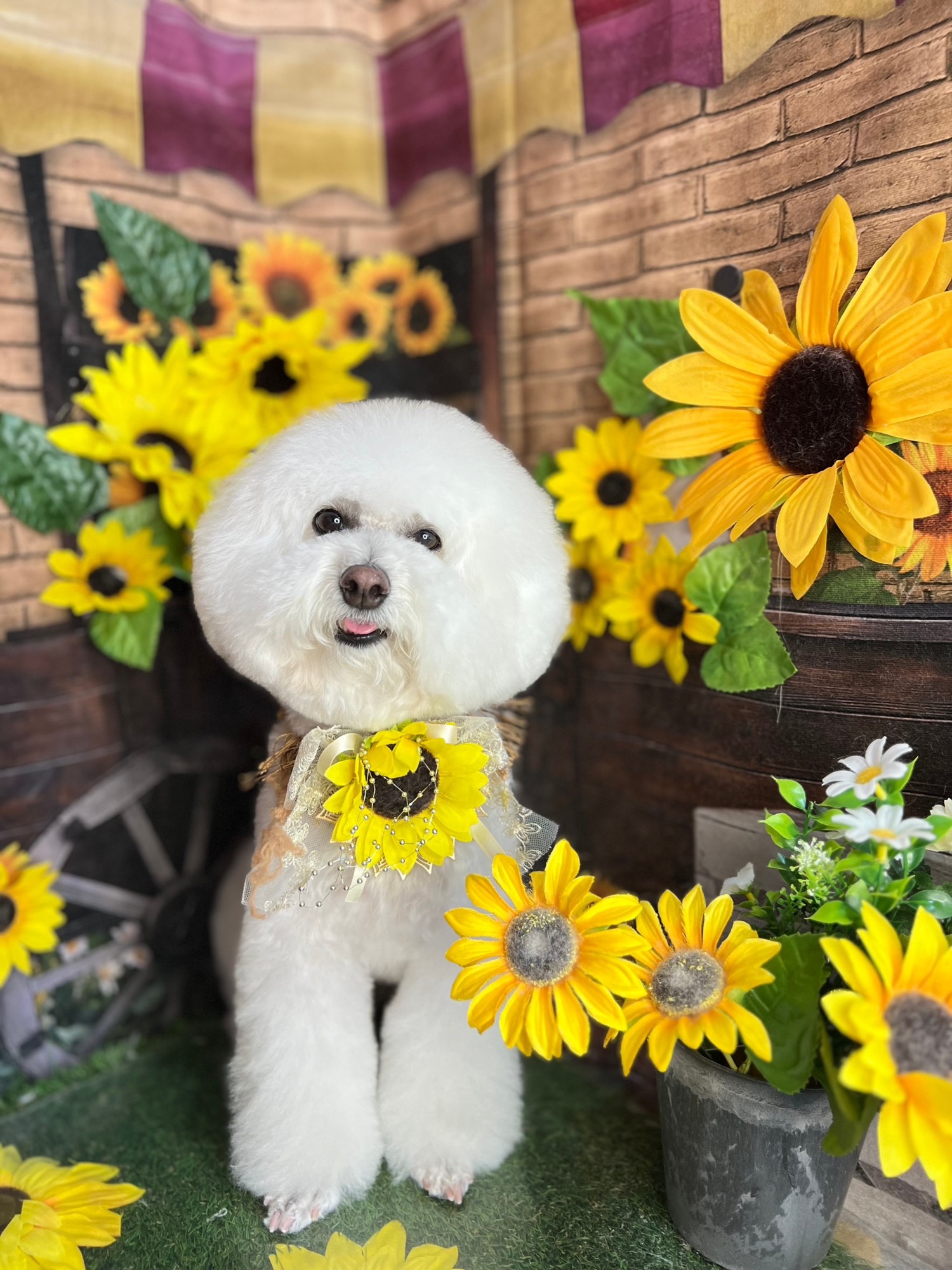 Team jumis world | Jumi’sWorld Blog