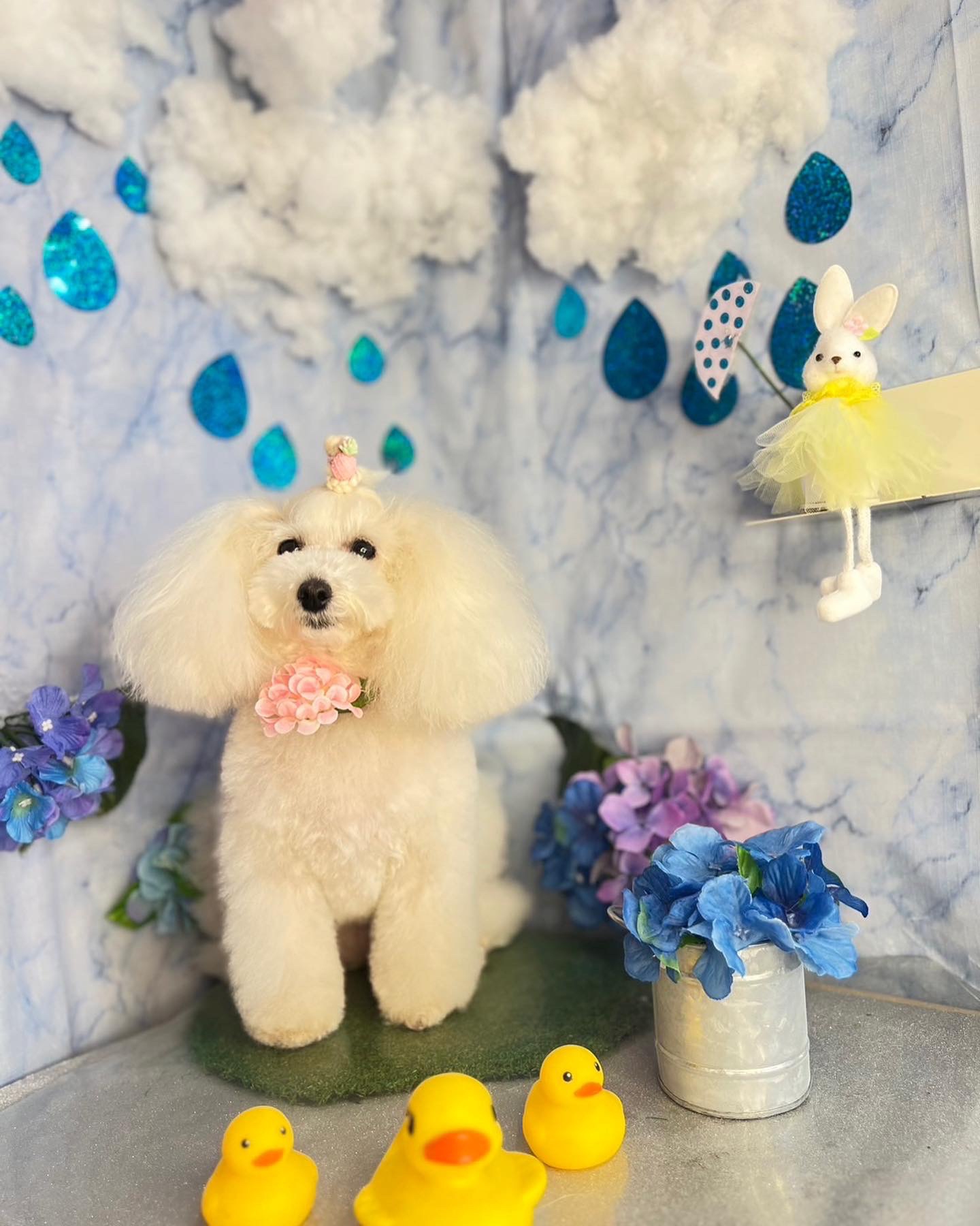 Team jumis world | Jumi’sWorld Blog