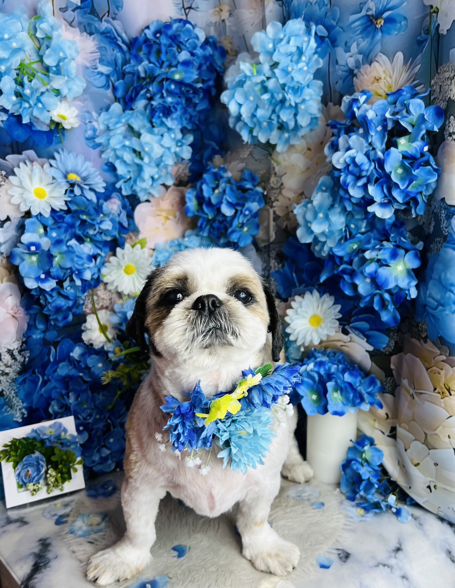 Team jumis world | Jumi’sWorld Blog