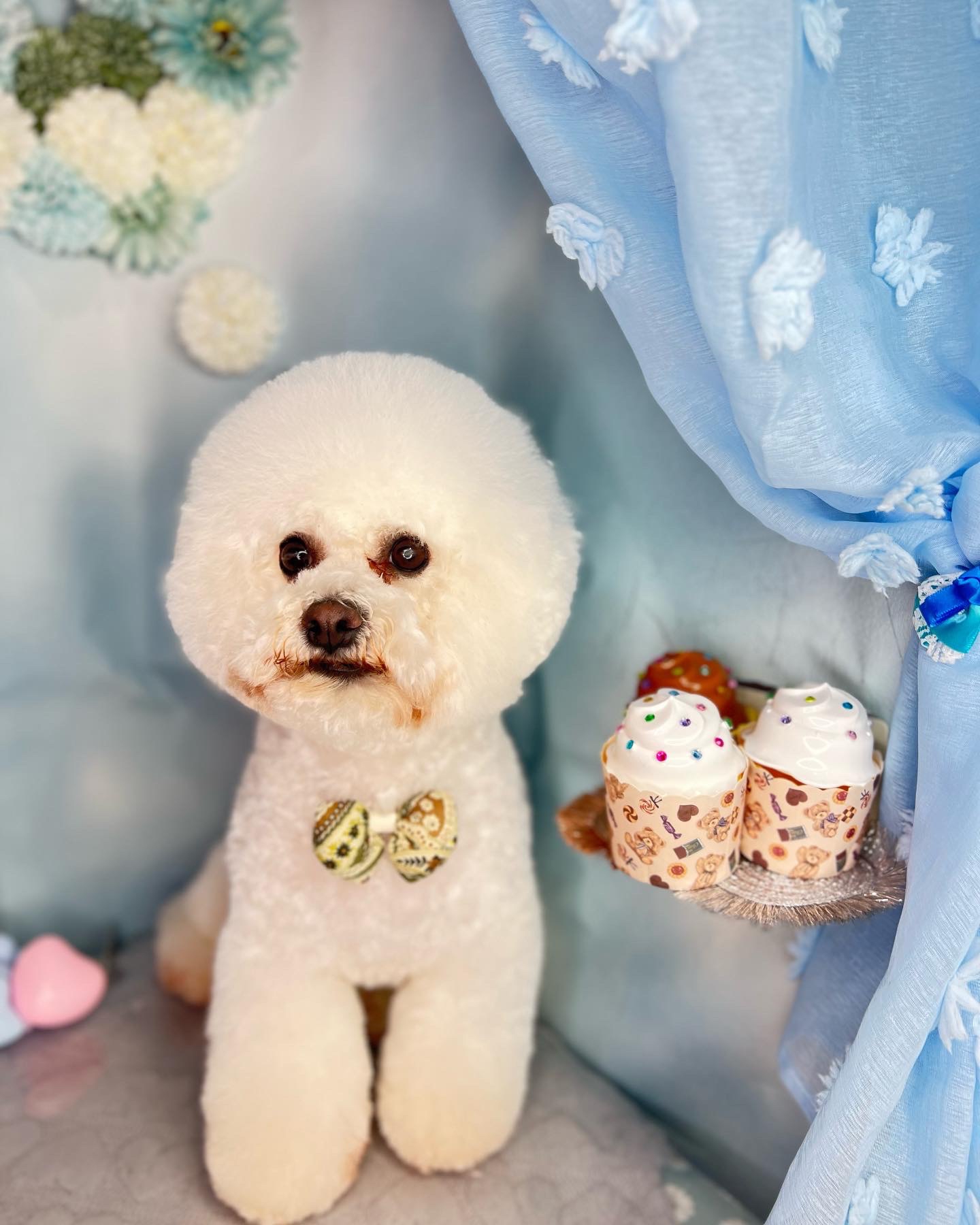 Team jumis world | Jumi’sWorld Blog