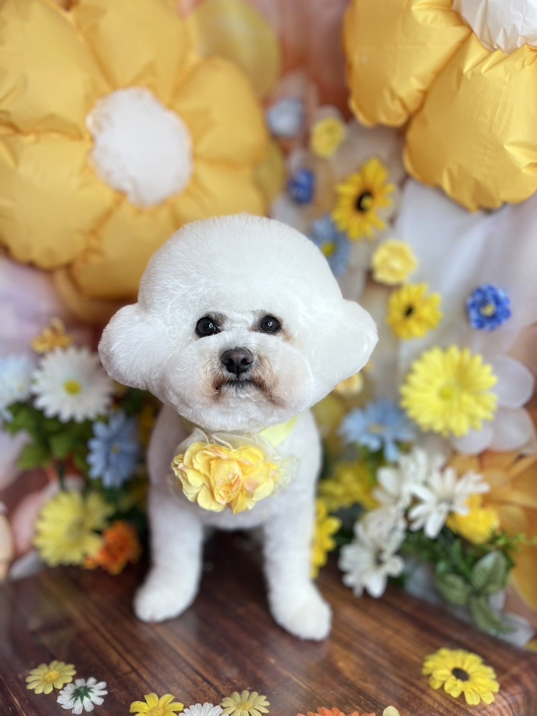 Team jumis world | Jumi’sWorld Blog