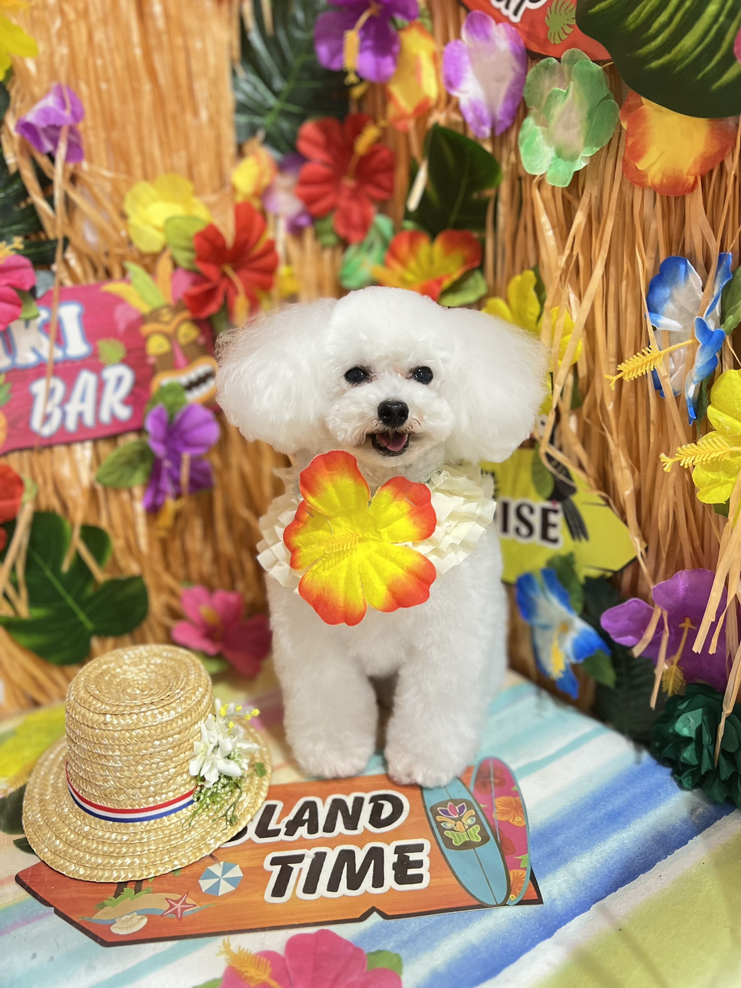 Team jumis world | Jumi’sWorld Blog