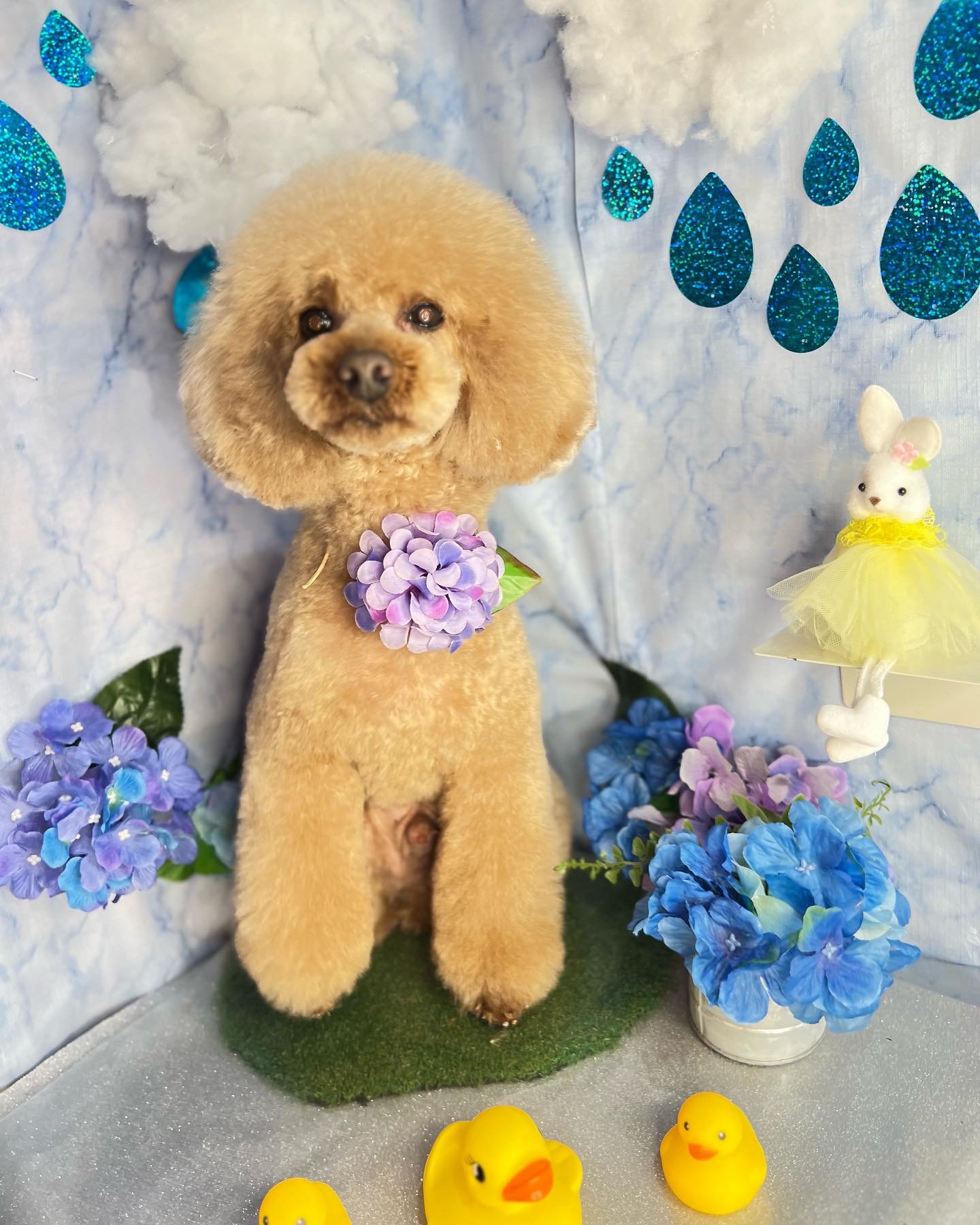 Team jumis world | Jumi’sWorld Blog