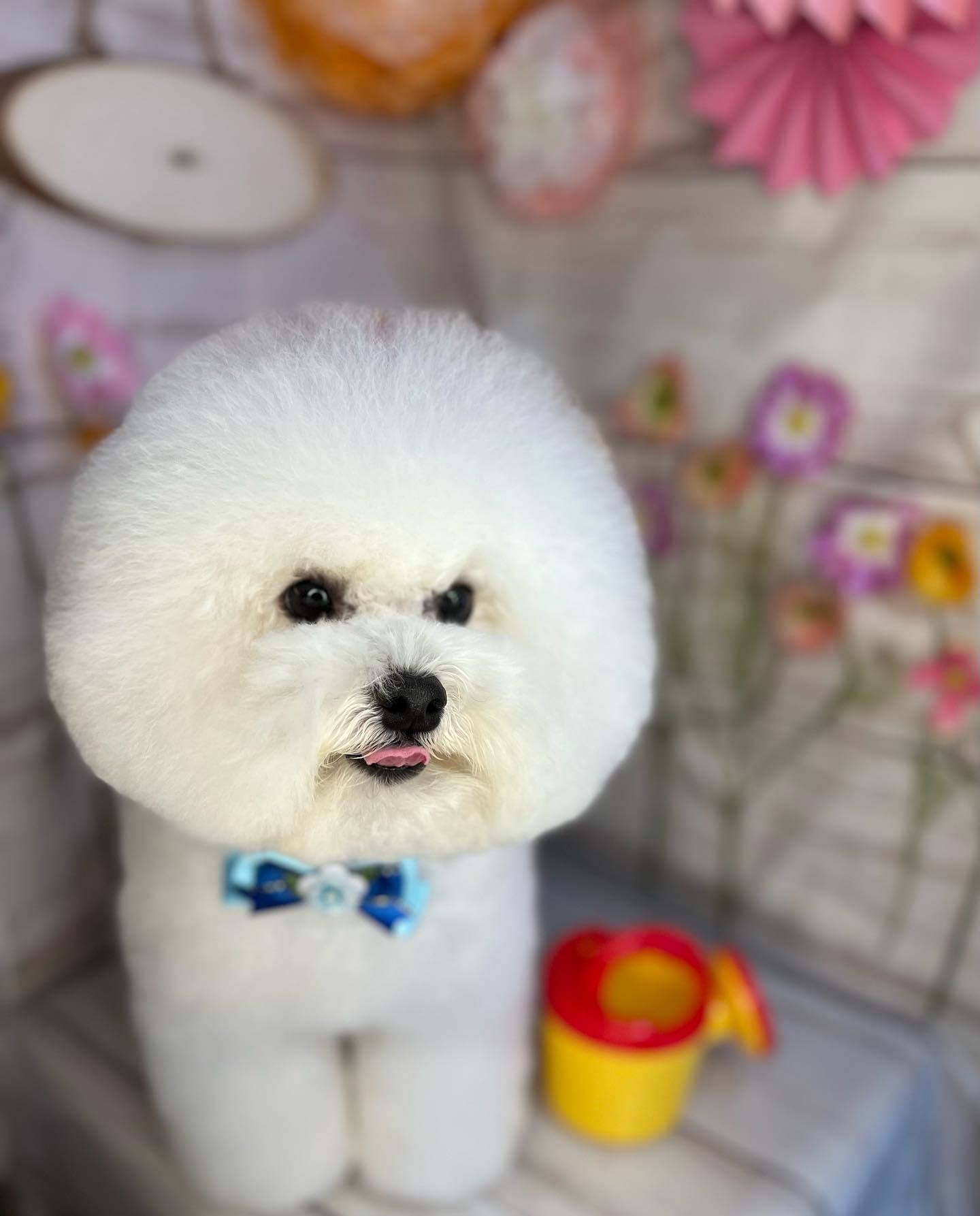 Team jumis world | Jumi’sWorld Blog