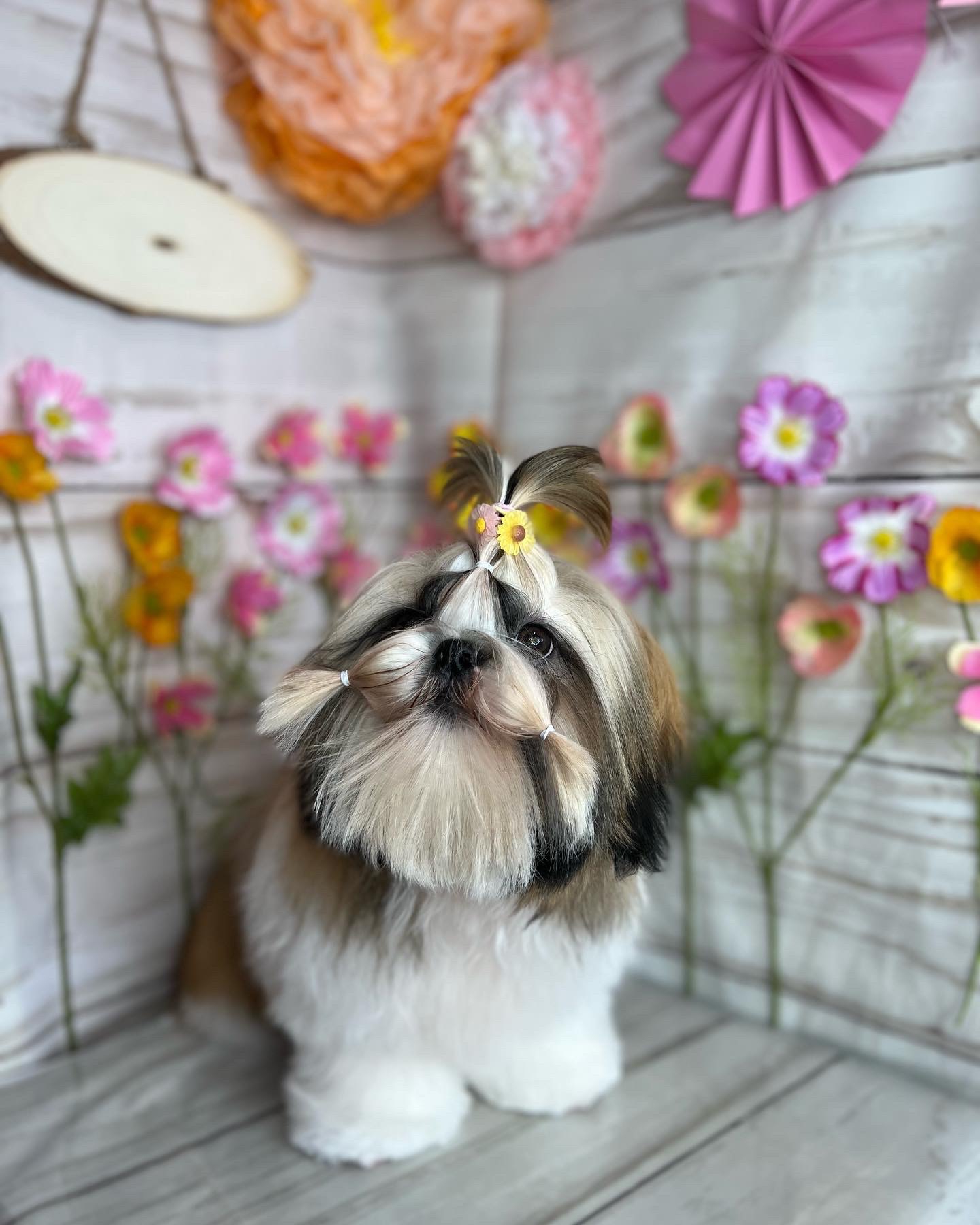 Team jumis would | Jumi’sWorld Blog