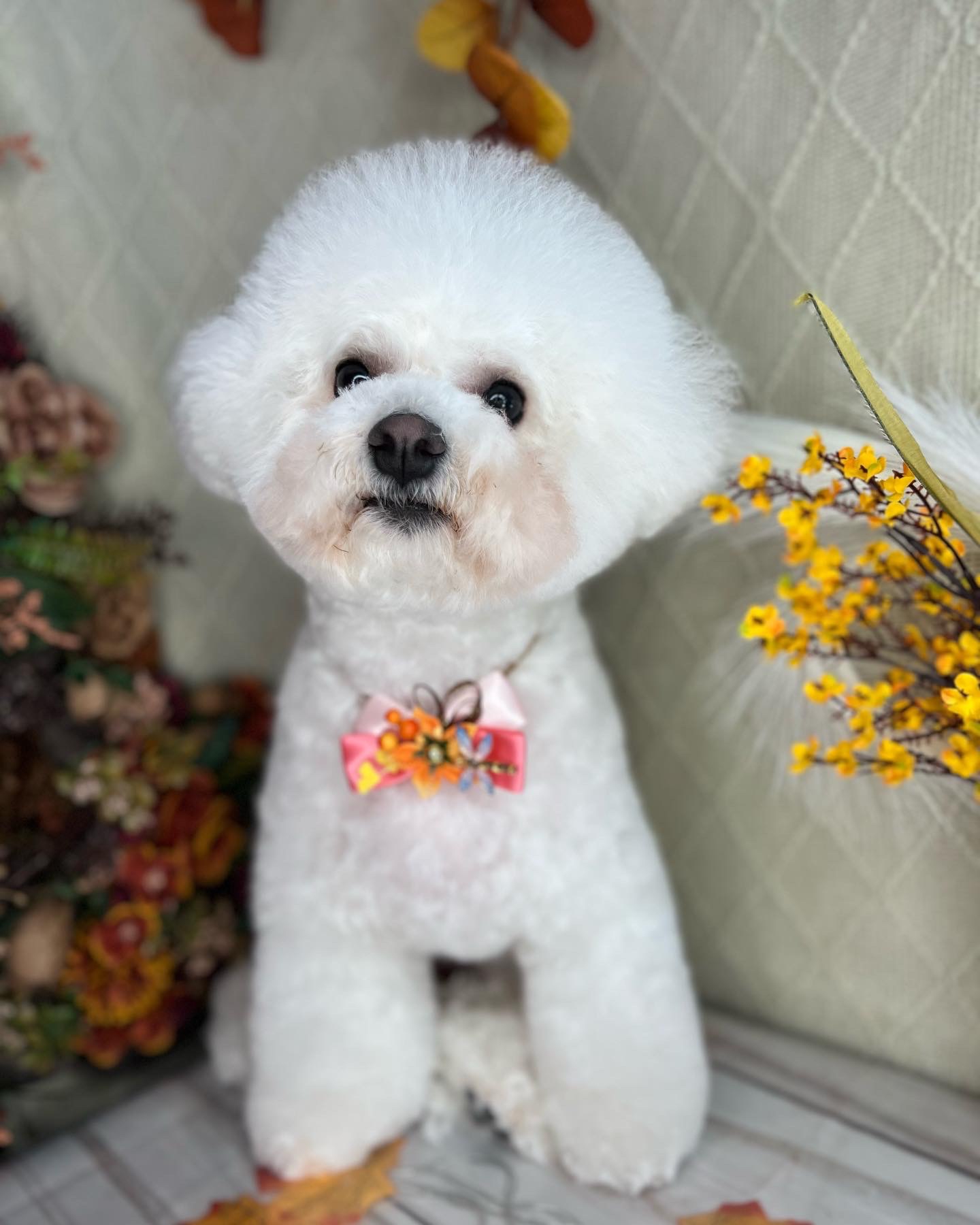 Team jumis world | Jumi’sWorld Blog