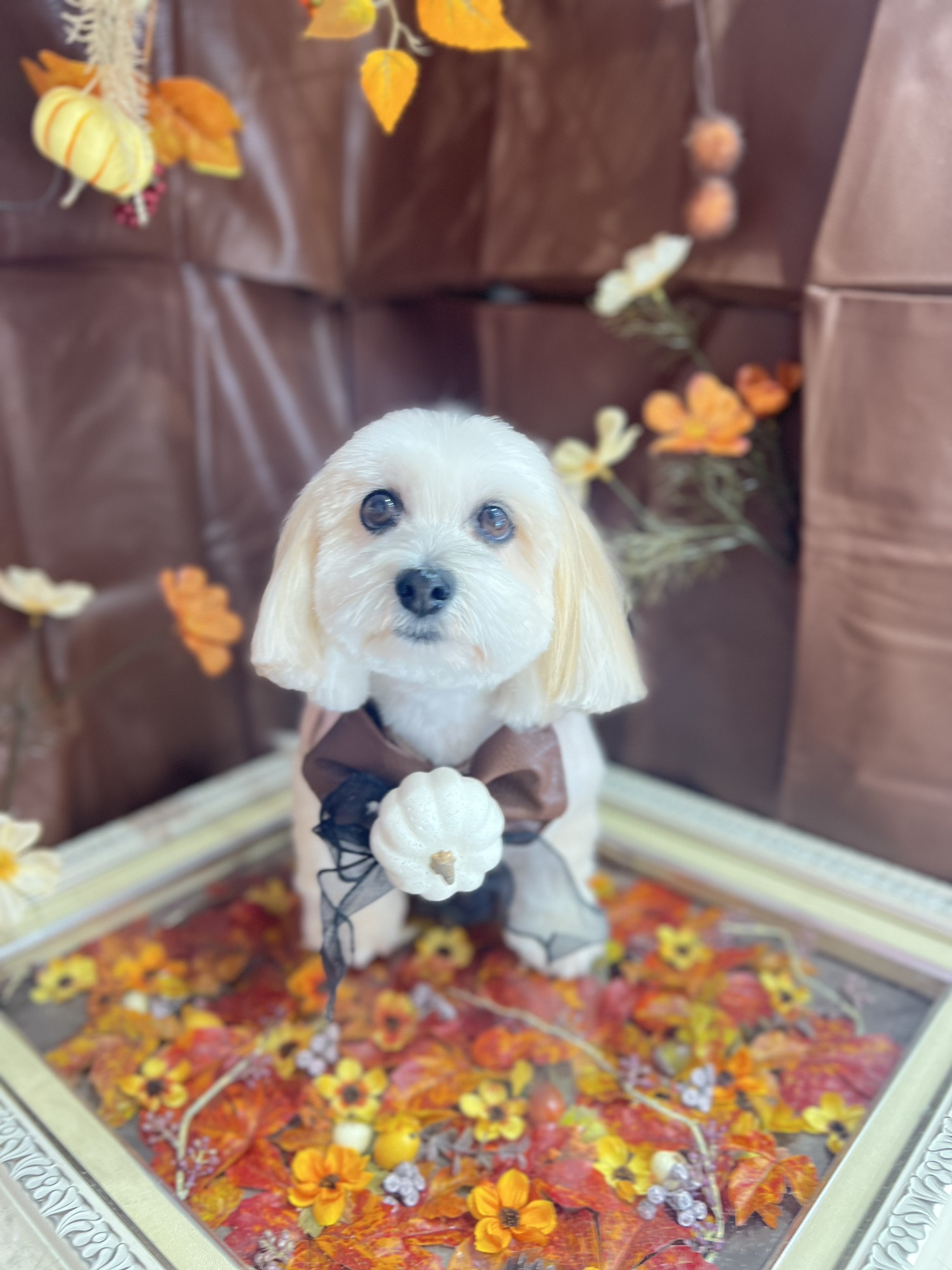 Team jumis world | Jumi’sWorld Blog