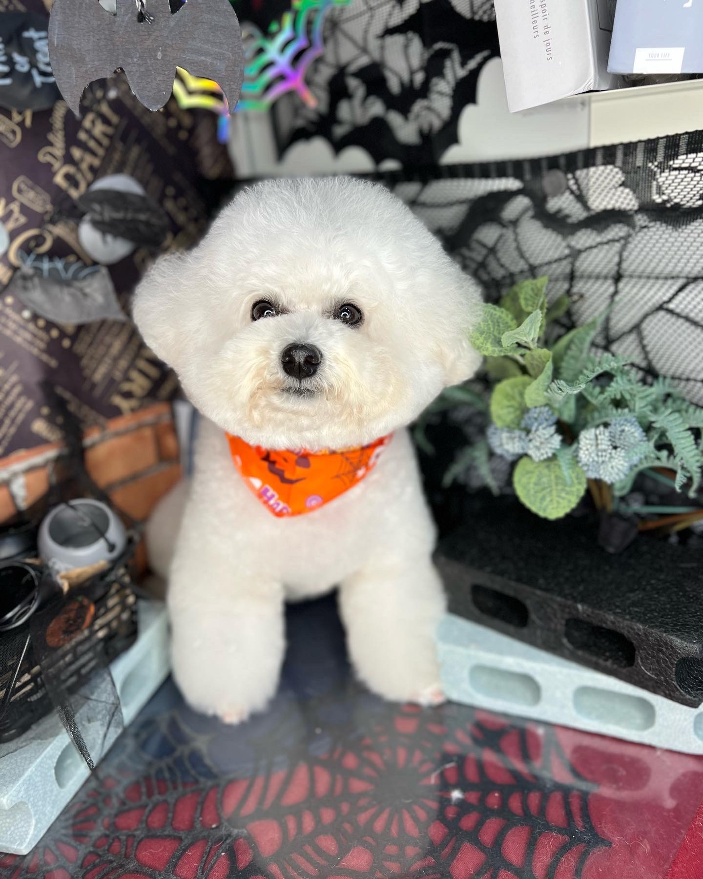 Team jumis world | Jumi’sWorld Blog