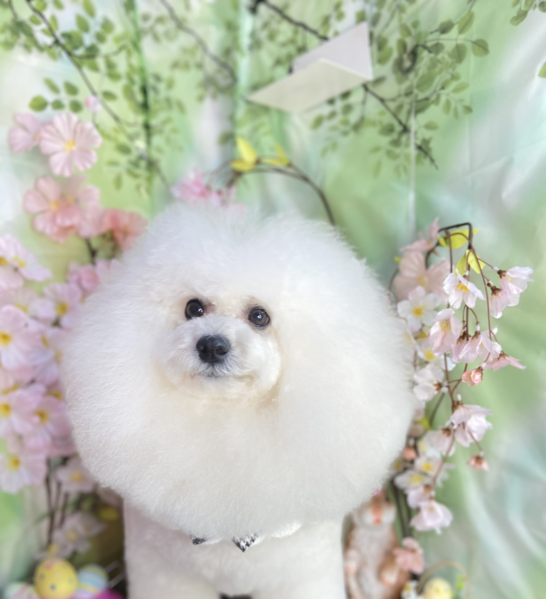 Team jumis world | Jumi’sWorld Blog