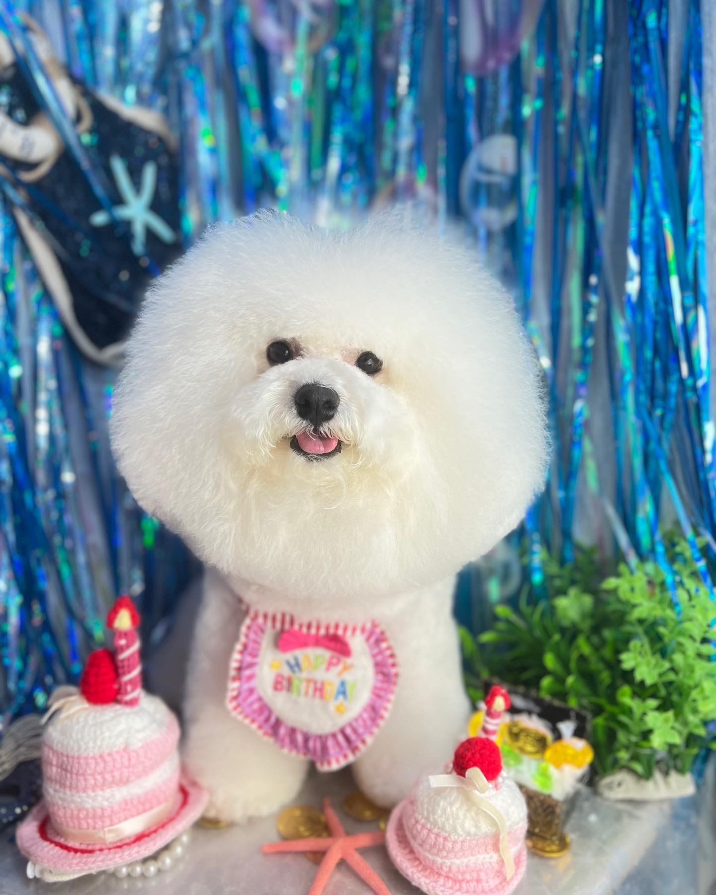 Team jumis world | Jumi’sWorld Blog