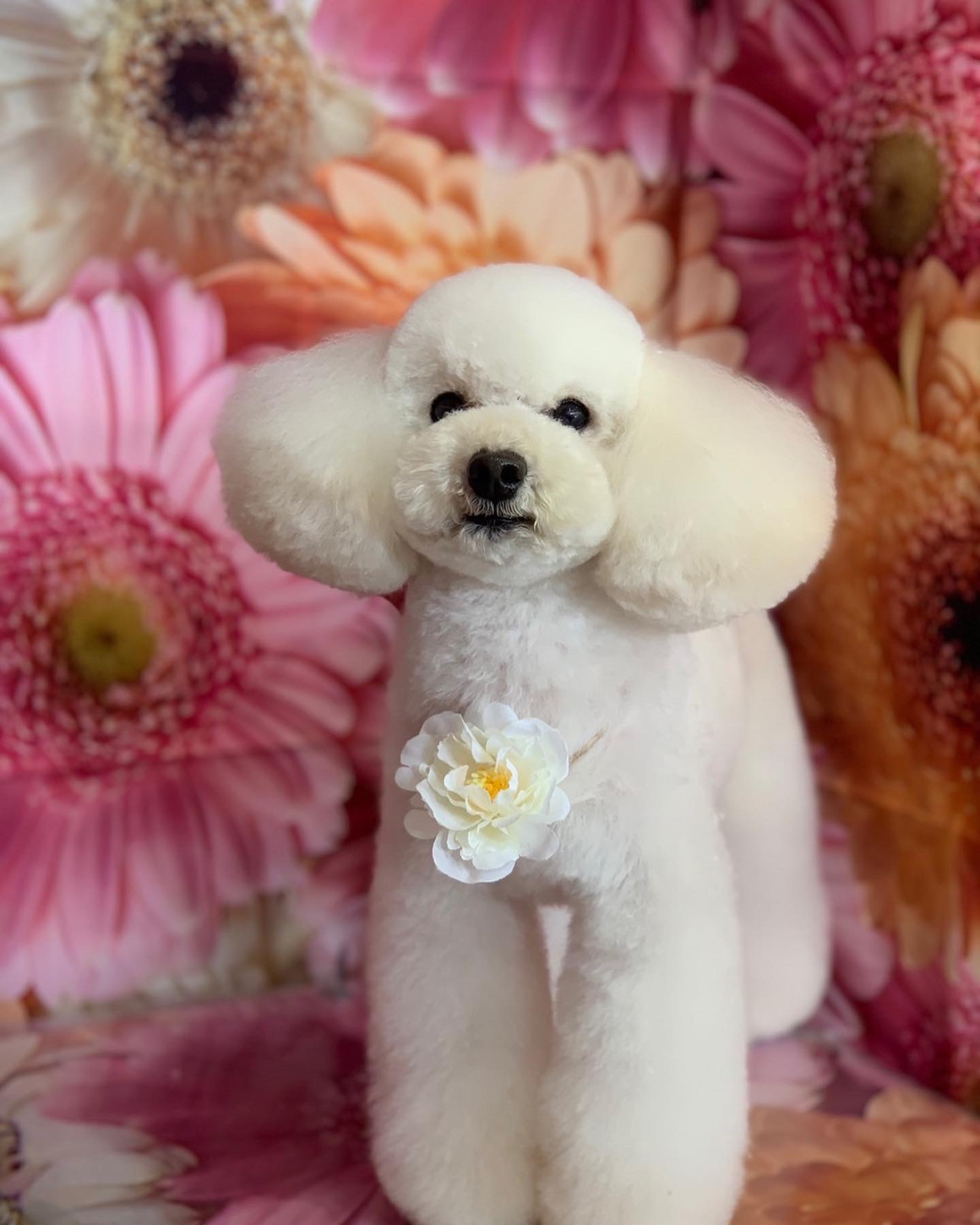 Team Jumis World | Jumi’sWorld Blog