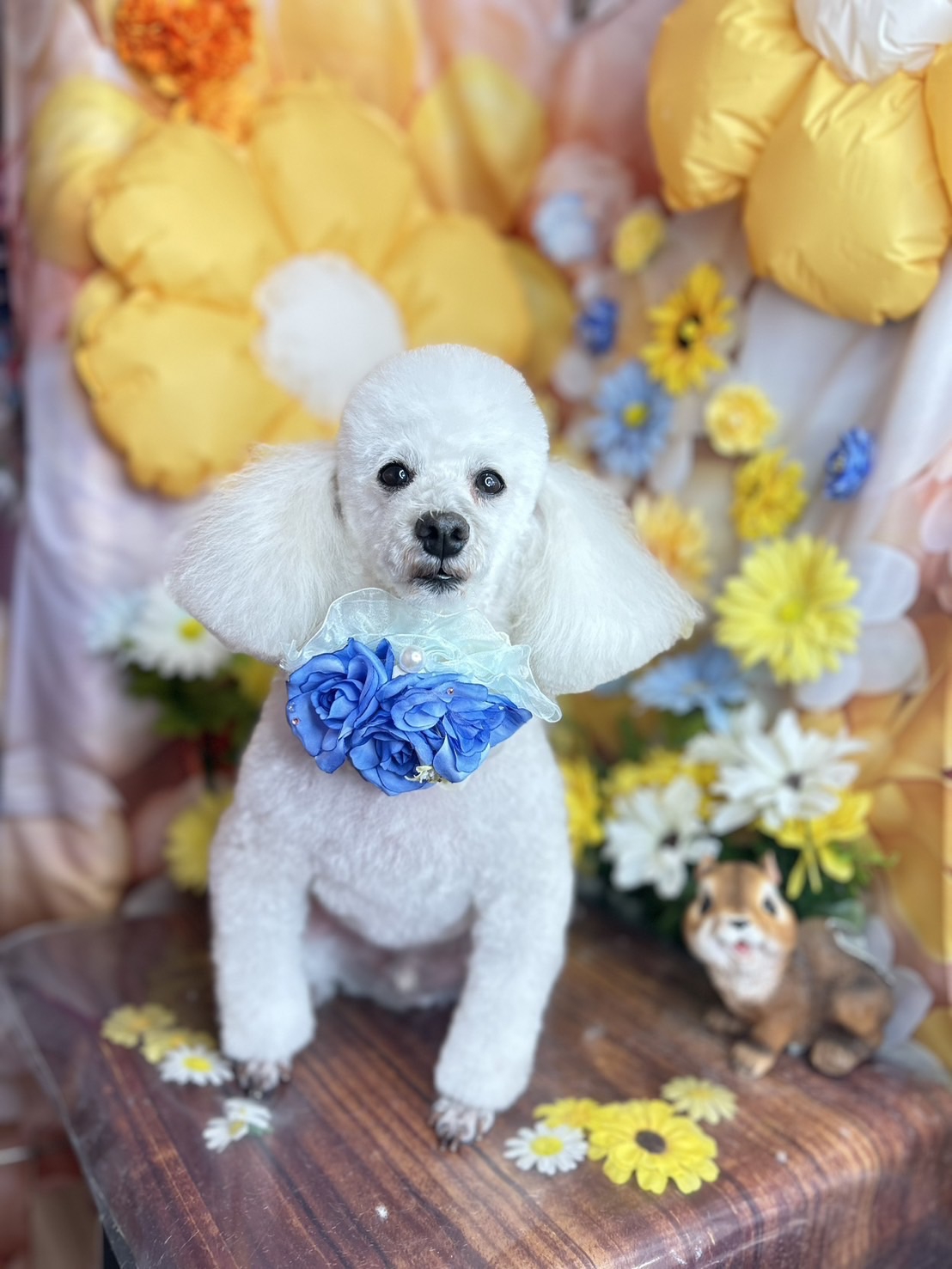 Team jumis world | Jumi’sWorld Blog