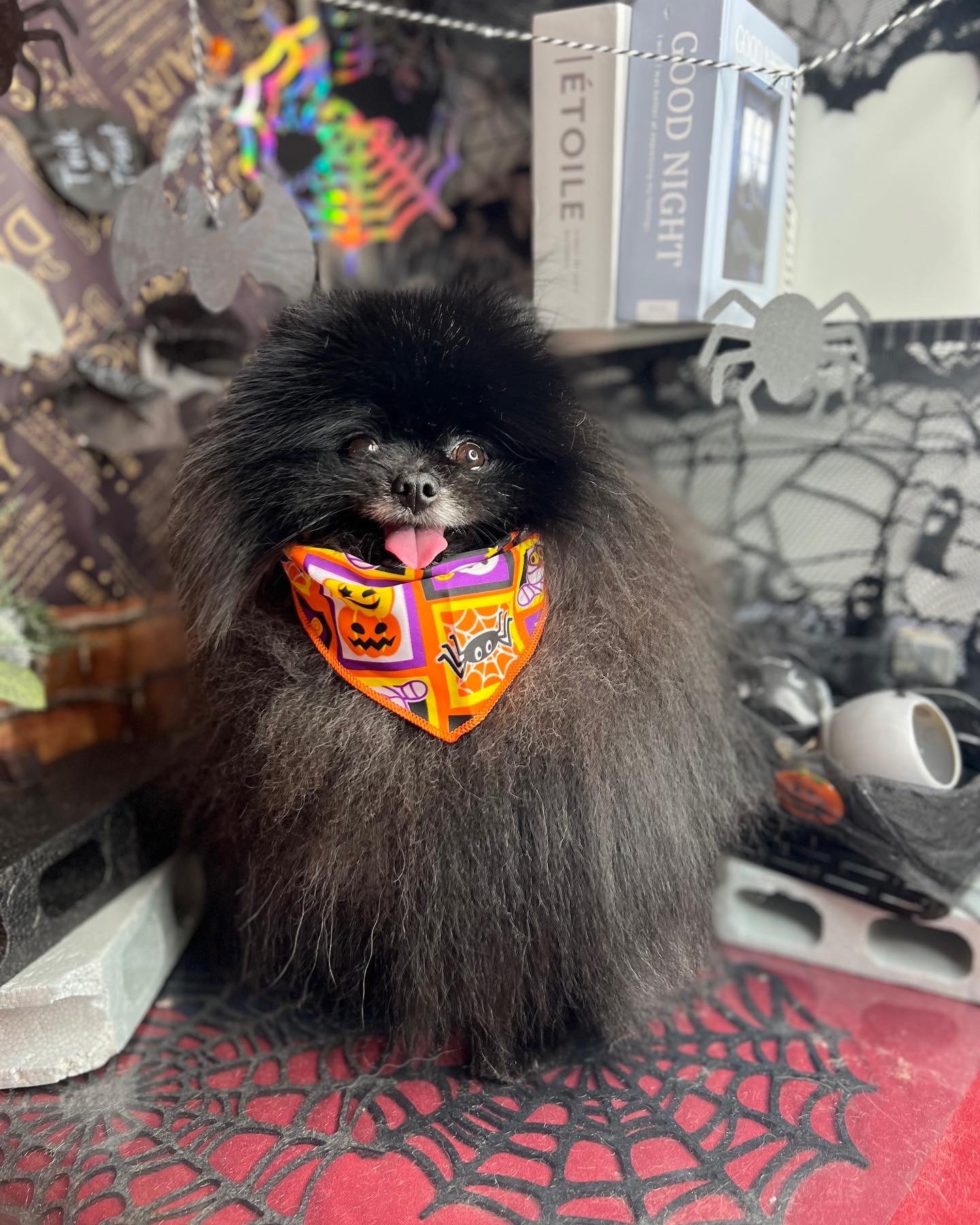 Team jumis world | Jumi’sWorld Blog