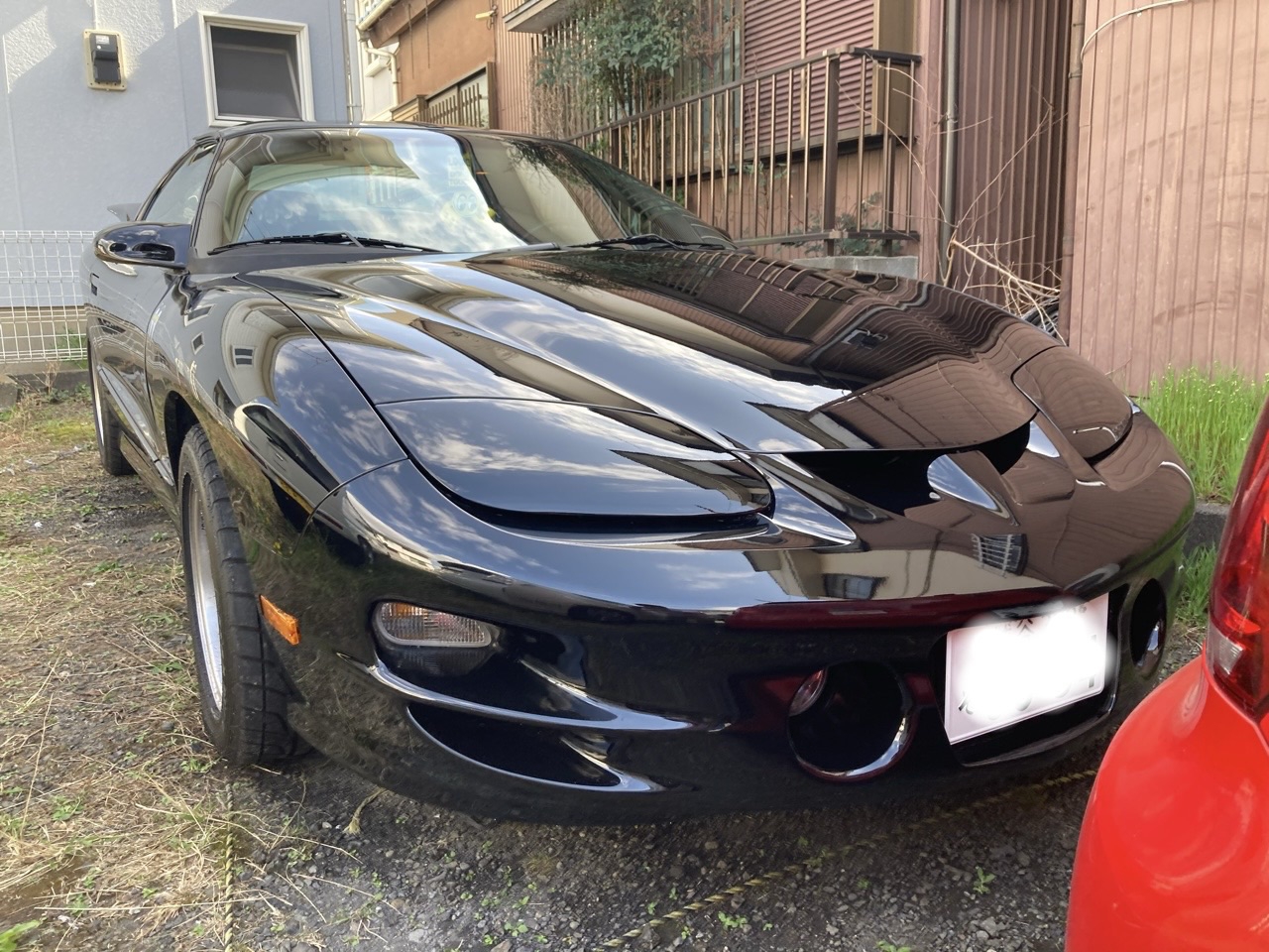 PONTIAC FIRE BIRD 車検代行 | Arrows－carsales