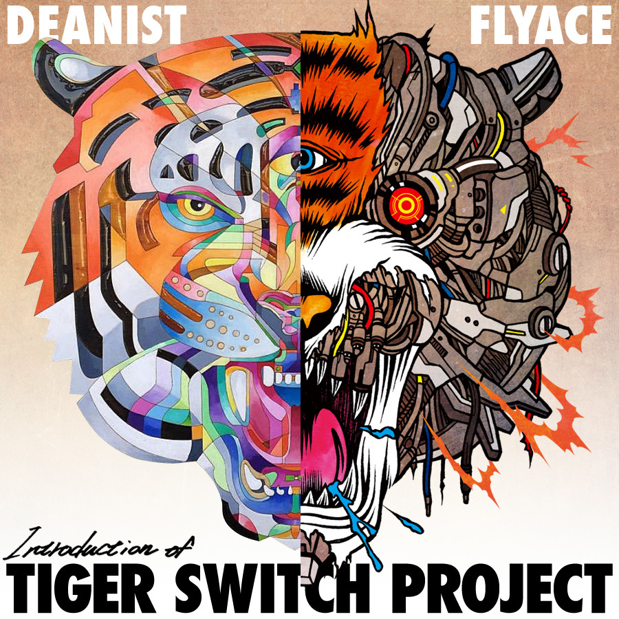 TIGER SWITCH PROJECT | SILLY