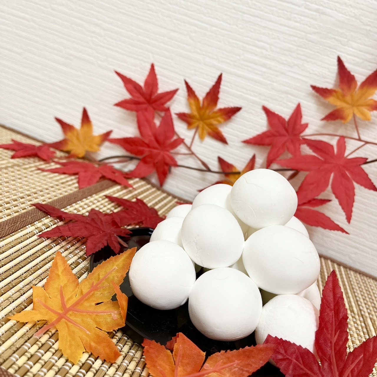 ★9月26日(月) | Dog salon OHANA