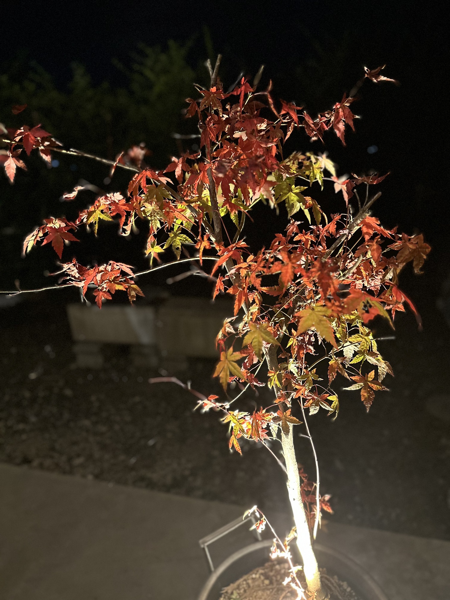 Awakening | yamamura yusuke BLOG