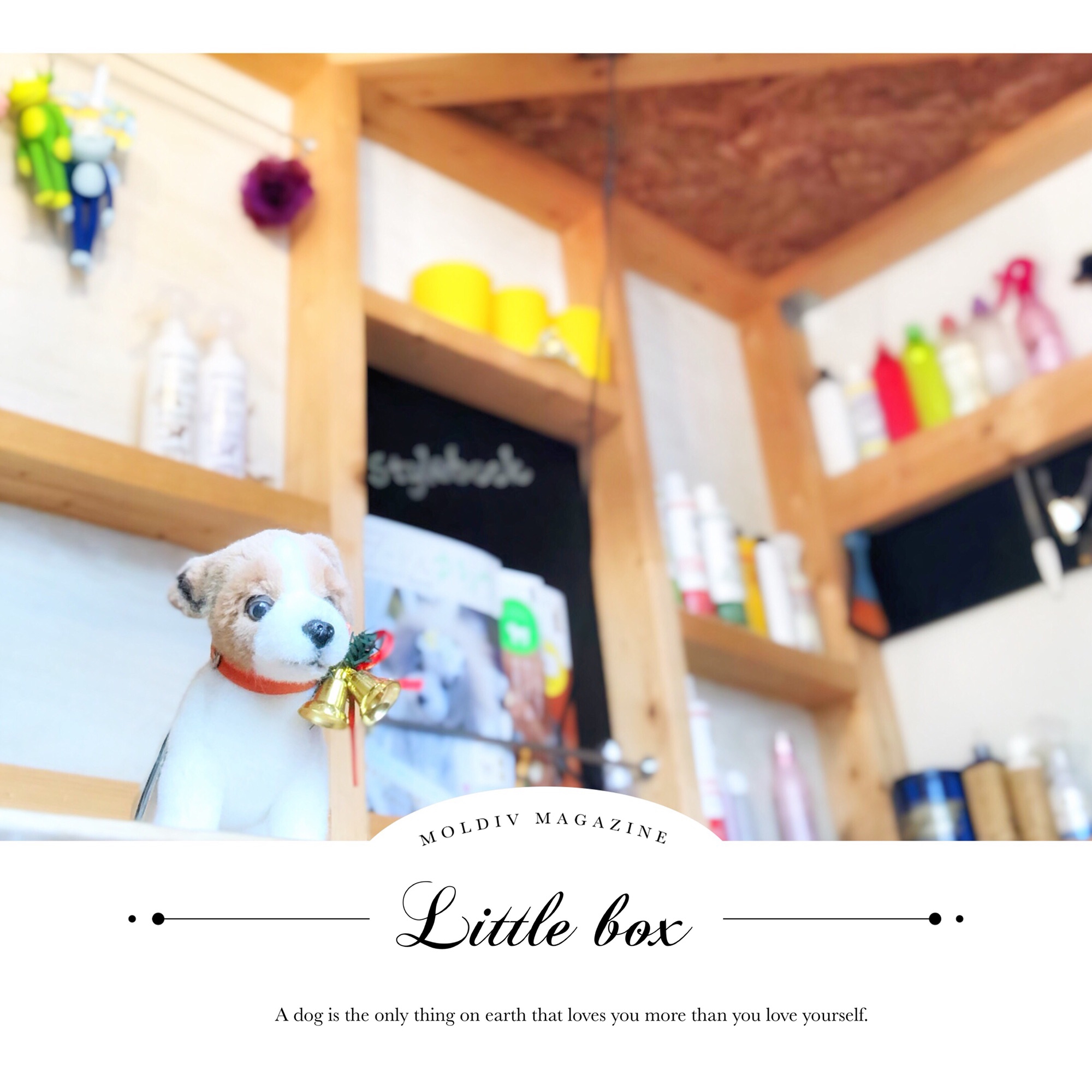 ABOUT | Little box