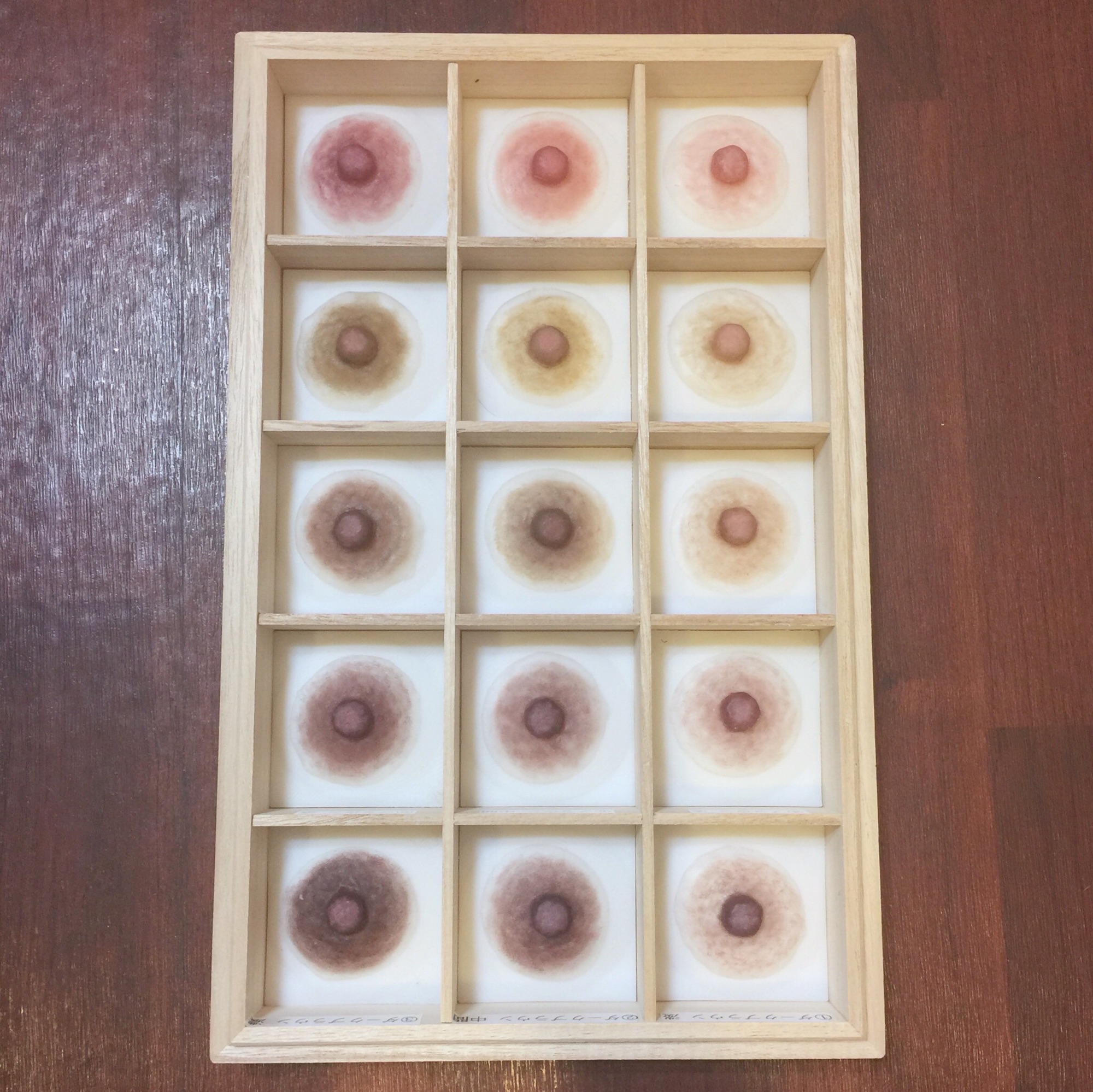 人工乳首の説明会 | hairsalon en