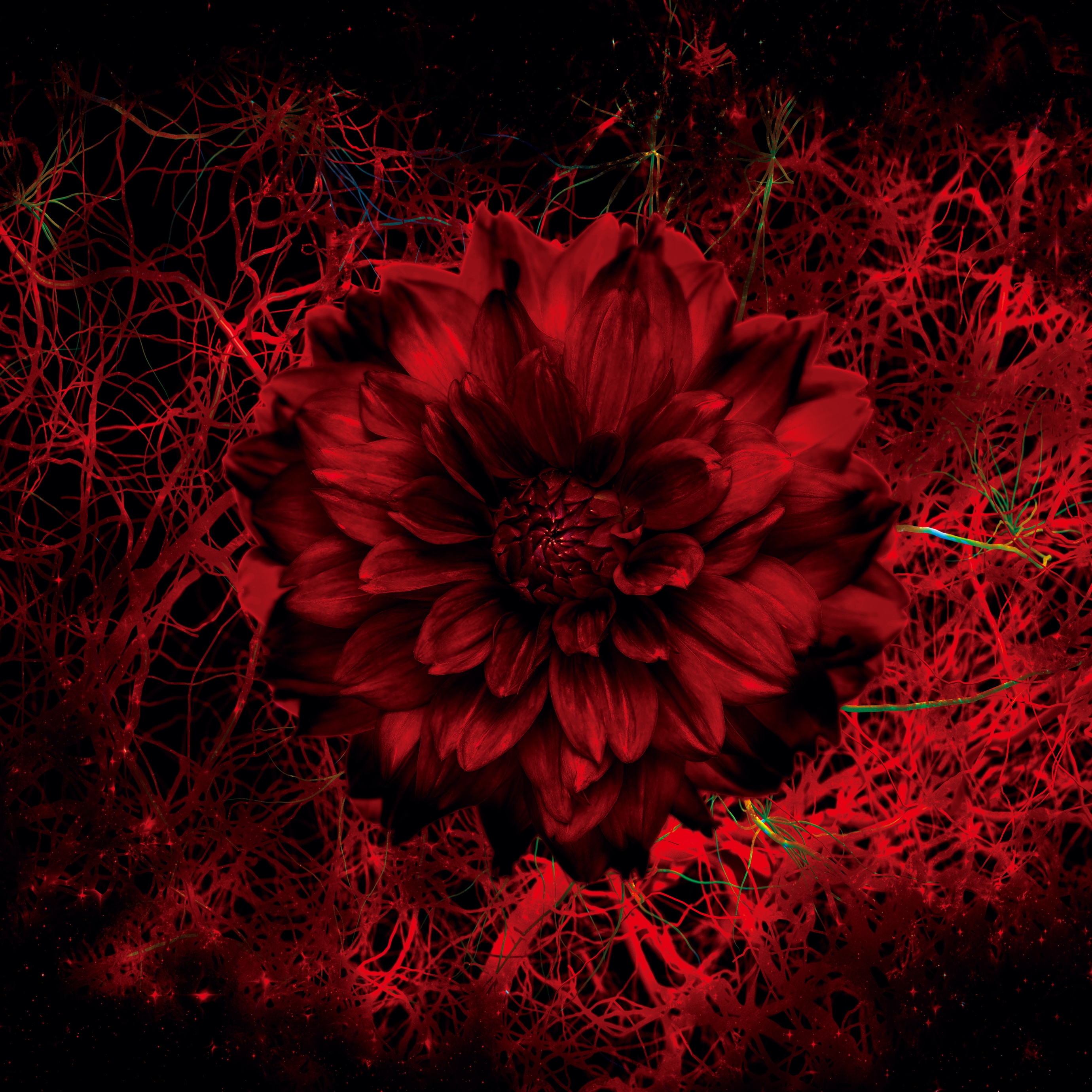 【MIGMA SHELTER】7/16(火)リリース トリプルA面シングル「Names」リリースイベント日程を公開！ | MUSIC@NOTE ...