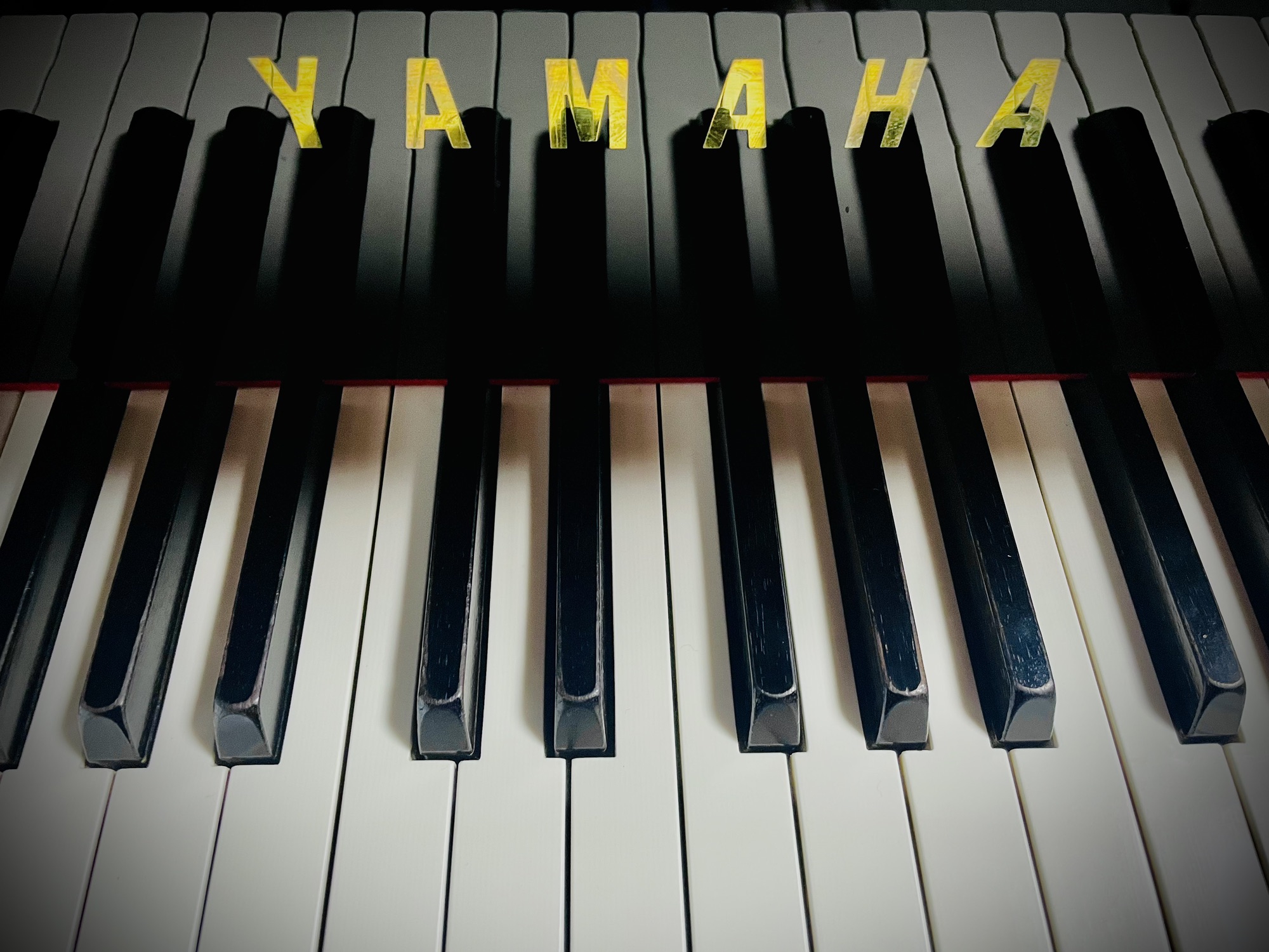 調律♪ | 森本美希