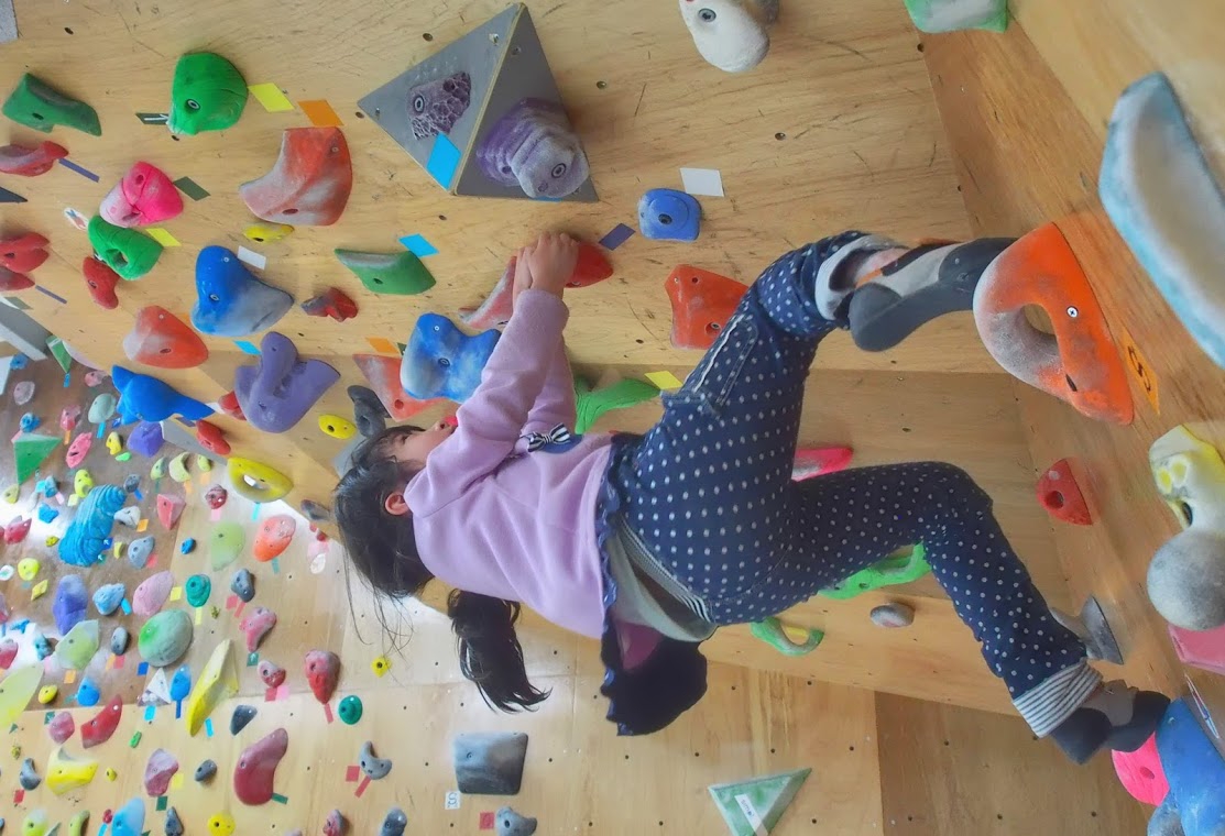 KIDS SCHOOL | SIGNAL CLIMBING GYM
