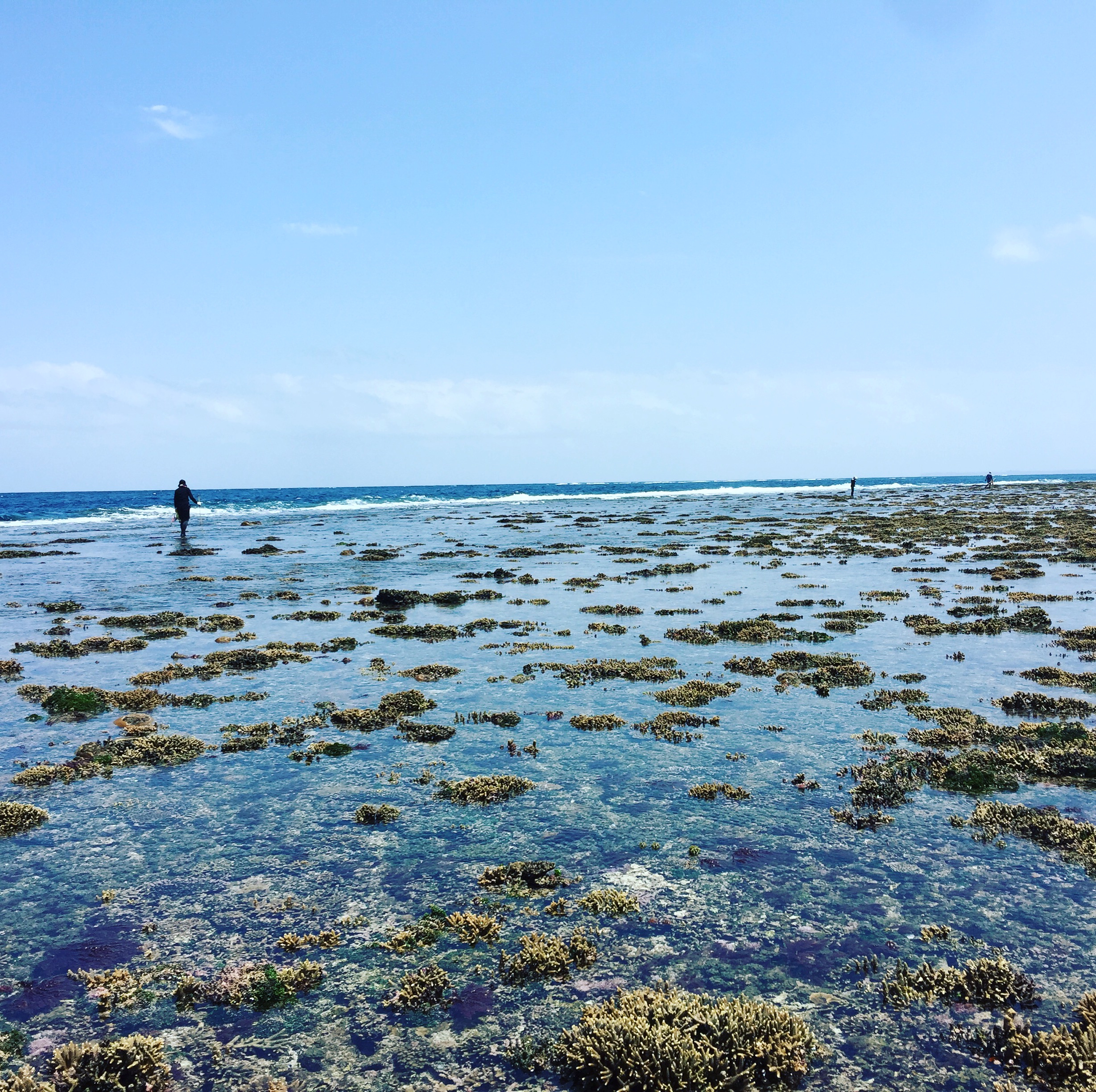 Earth Channel とは？ | Earth Channel
