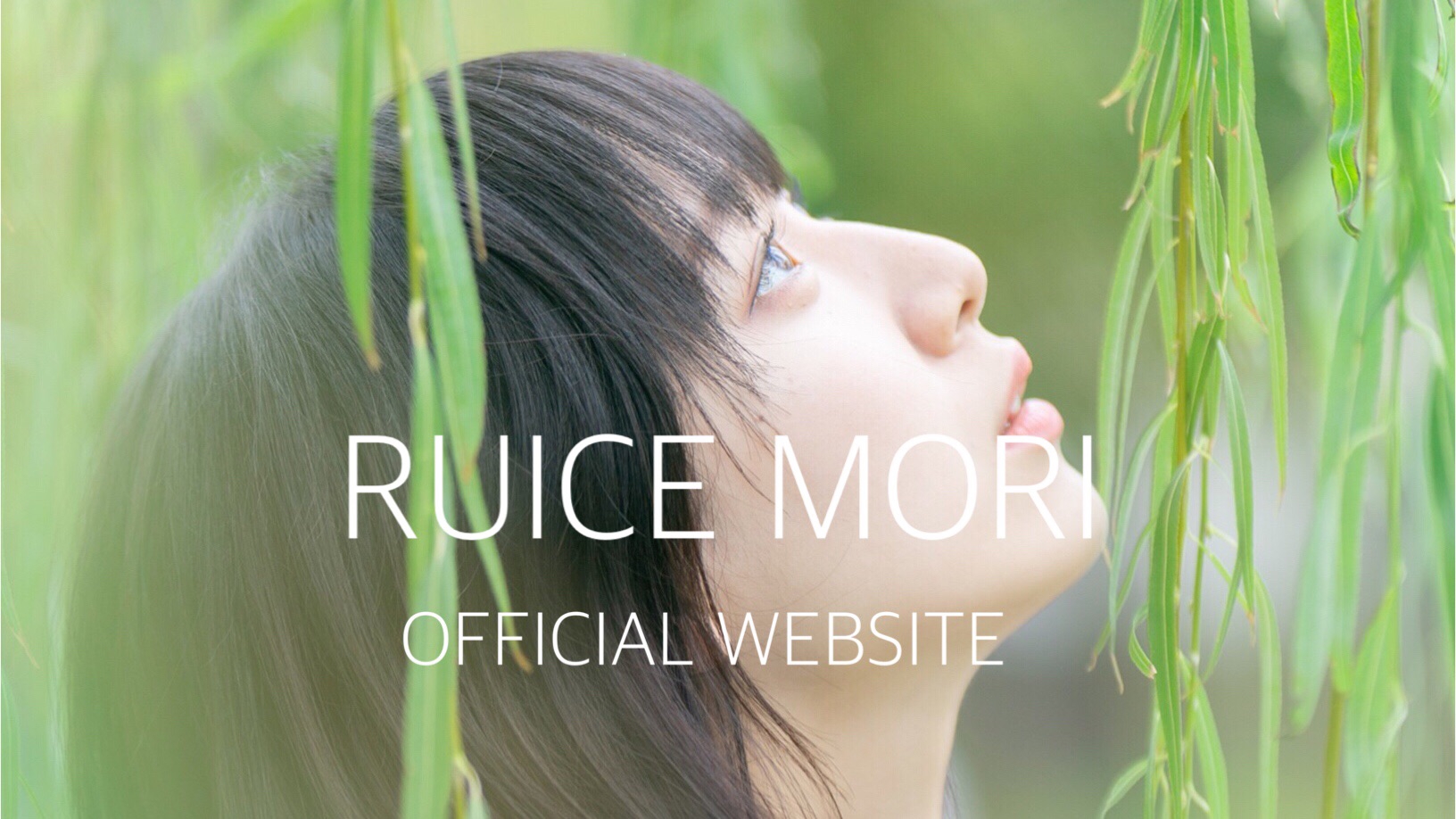 森累珠OFFICIAL SITE