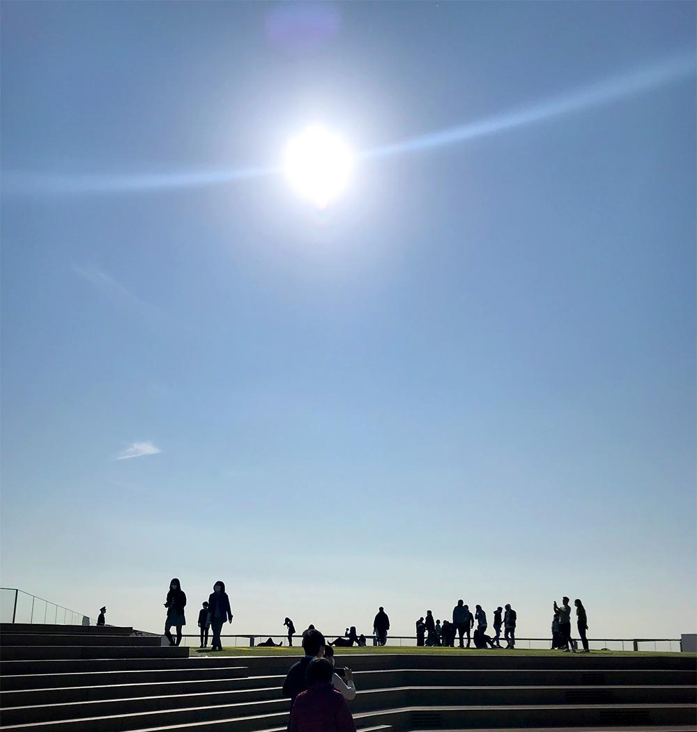 2020年11月の記事一覧 | hoshi-note