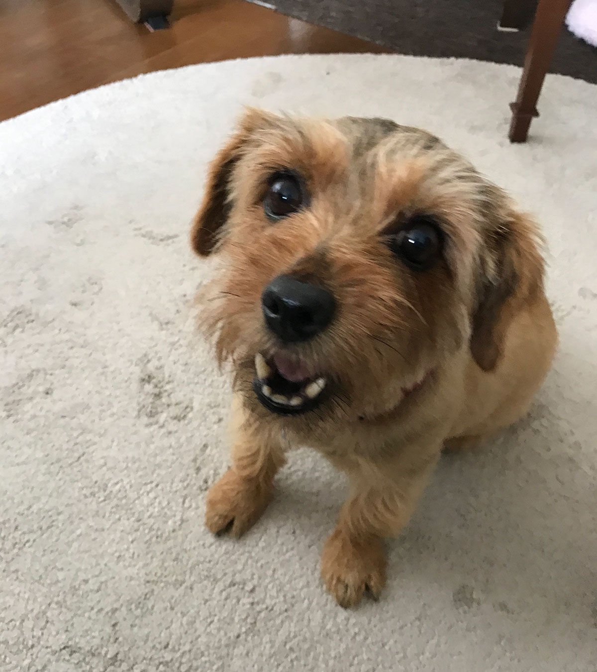 身体と心 | hoshi-note