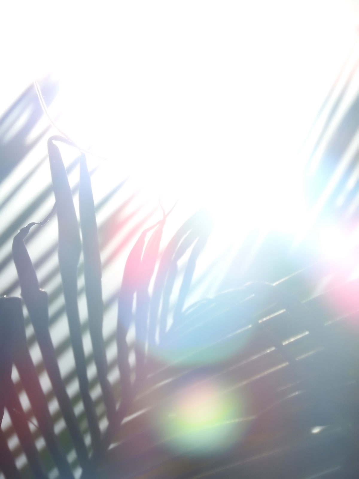 2022.12.23 新月「そろそろ、次の自分へ」 | hoshi-note