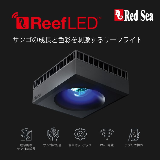 REEF LED90 | 葵熱帯魚
