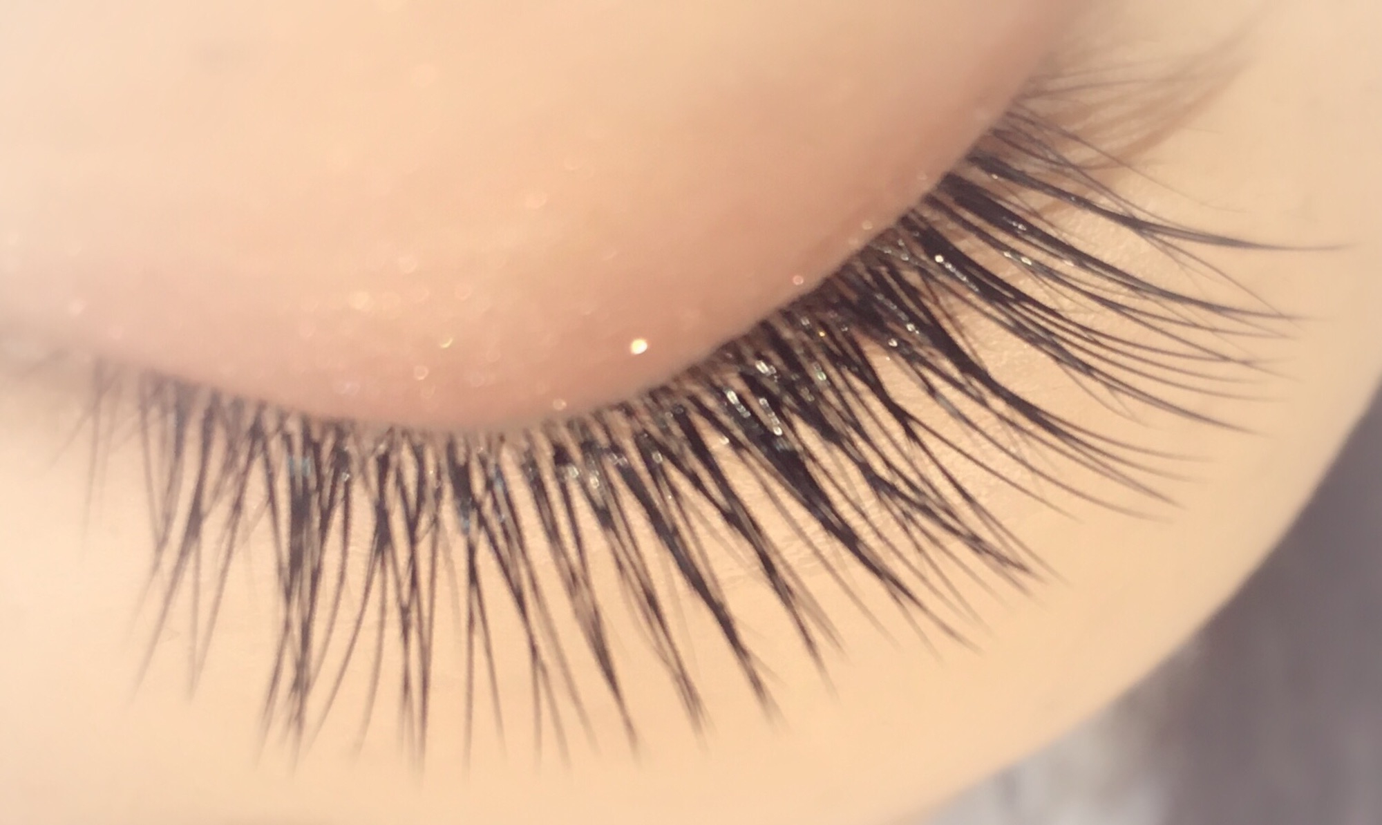 EYELASH | Eyelash & Nail Honey bee