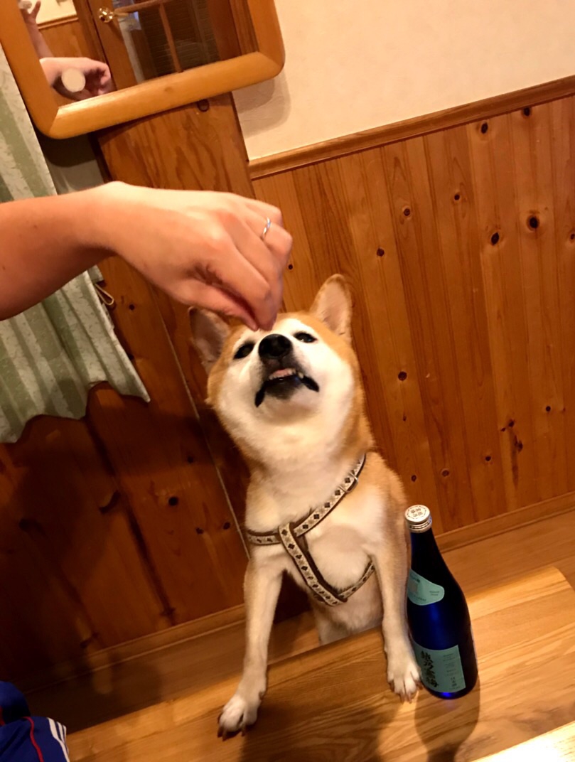 来週の火曜日は | タイ古式リラクゼーションサロン～Bua Sawan～