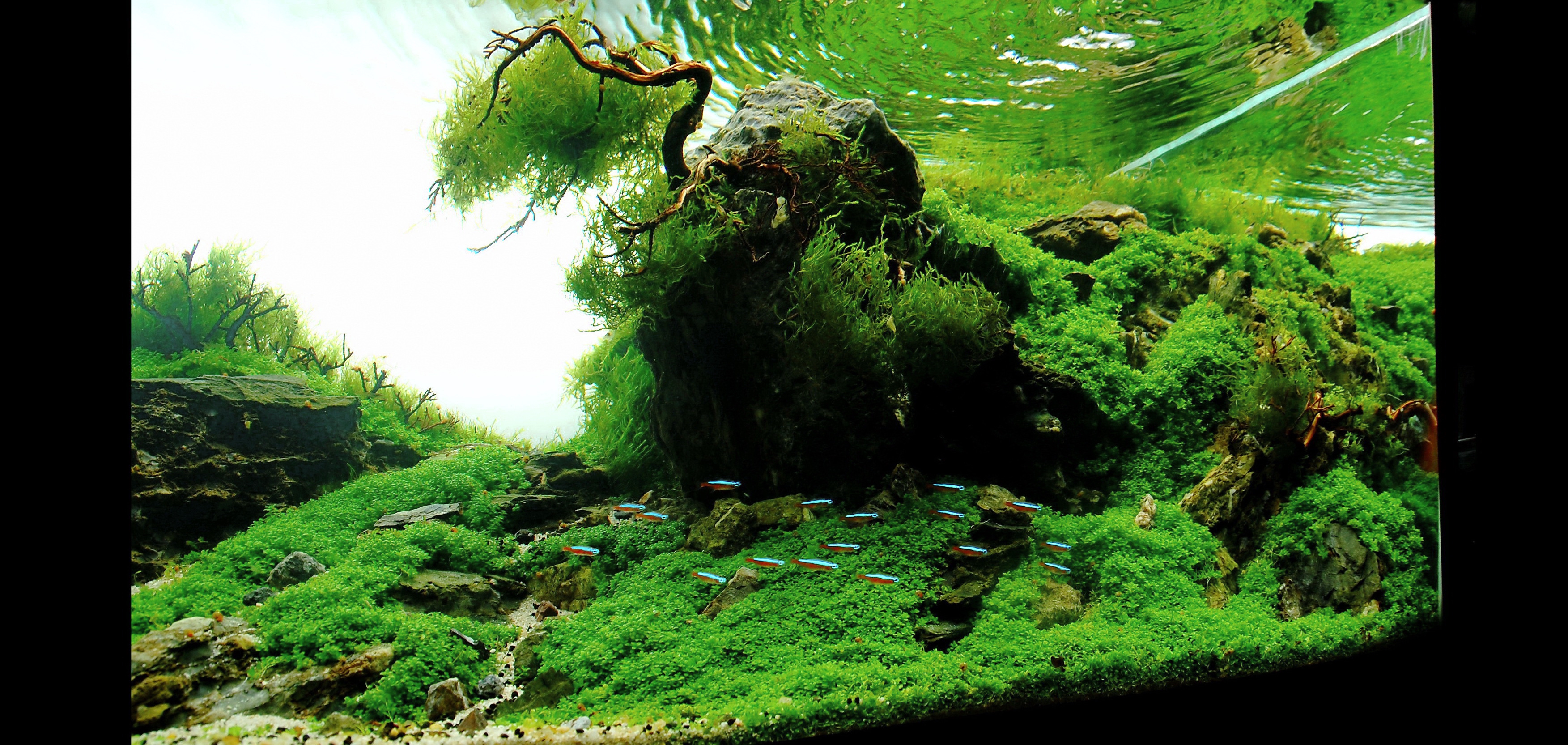 AQUA Arts and Crafts