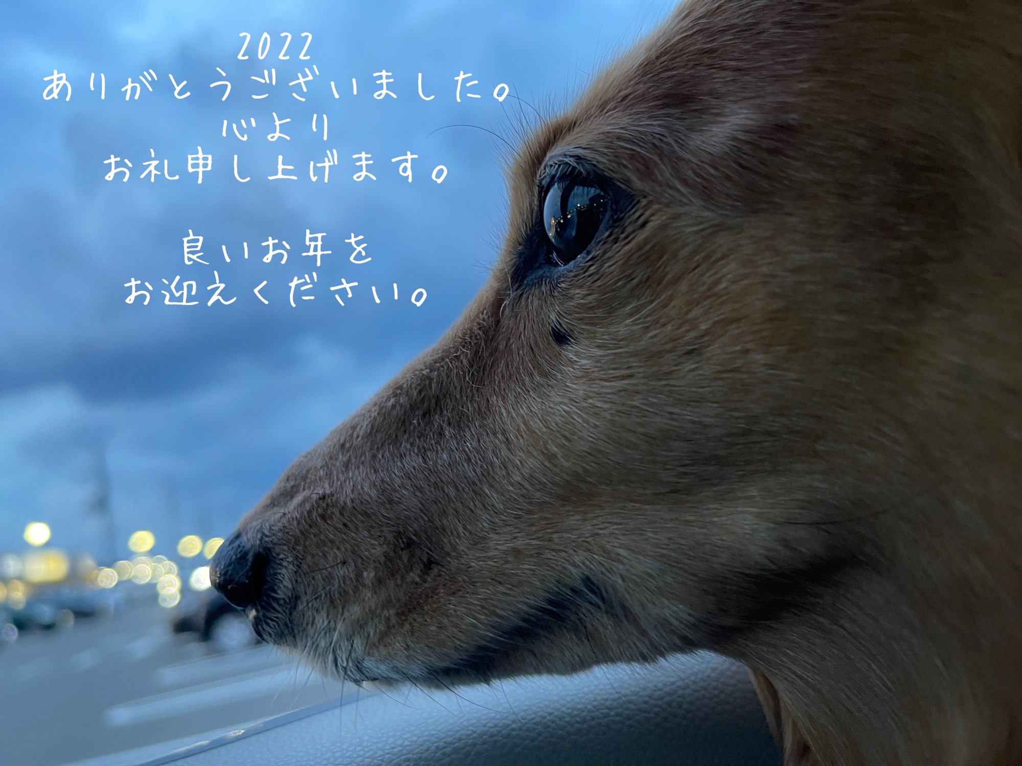 2022 12 T E R R A C E 2022 12 T E R R A C E