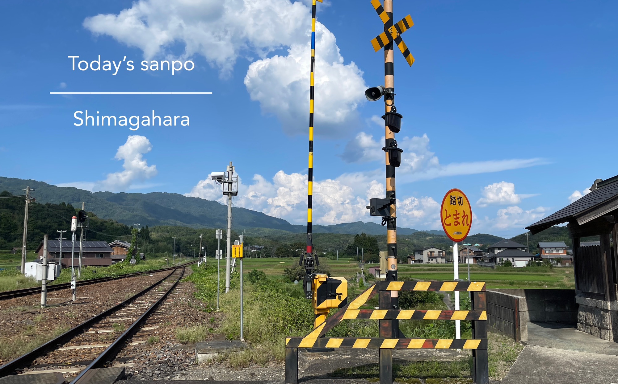 Today’s terrace 9/19 | t e r r a c e