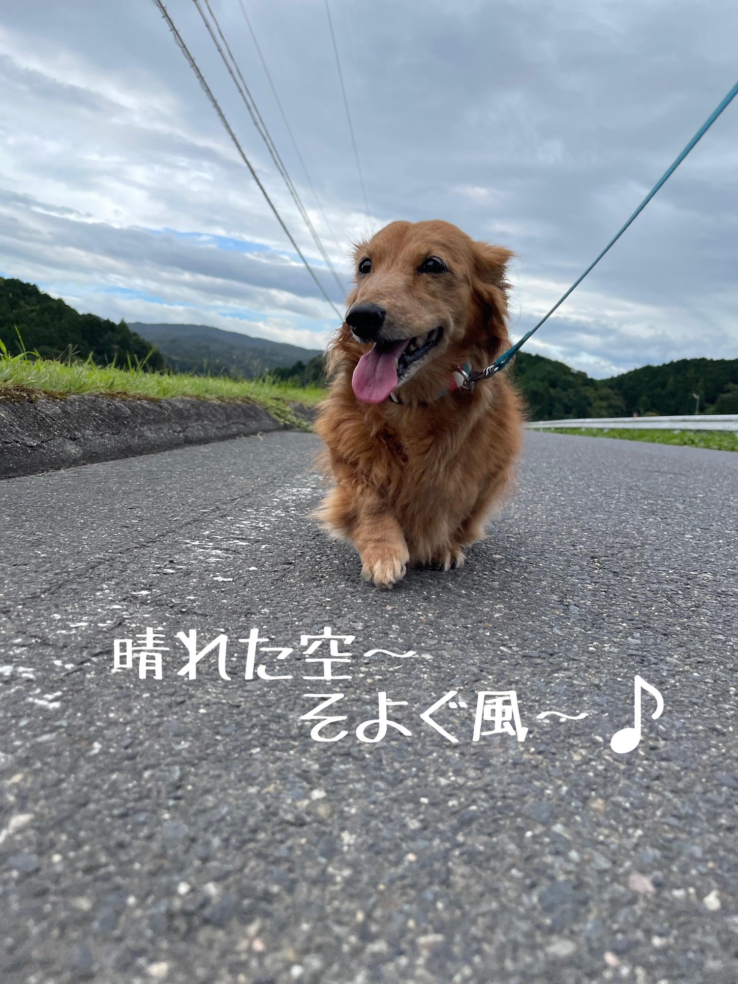 Today’s terrace 9/6 | t e r r a c e