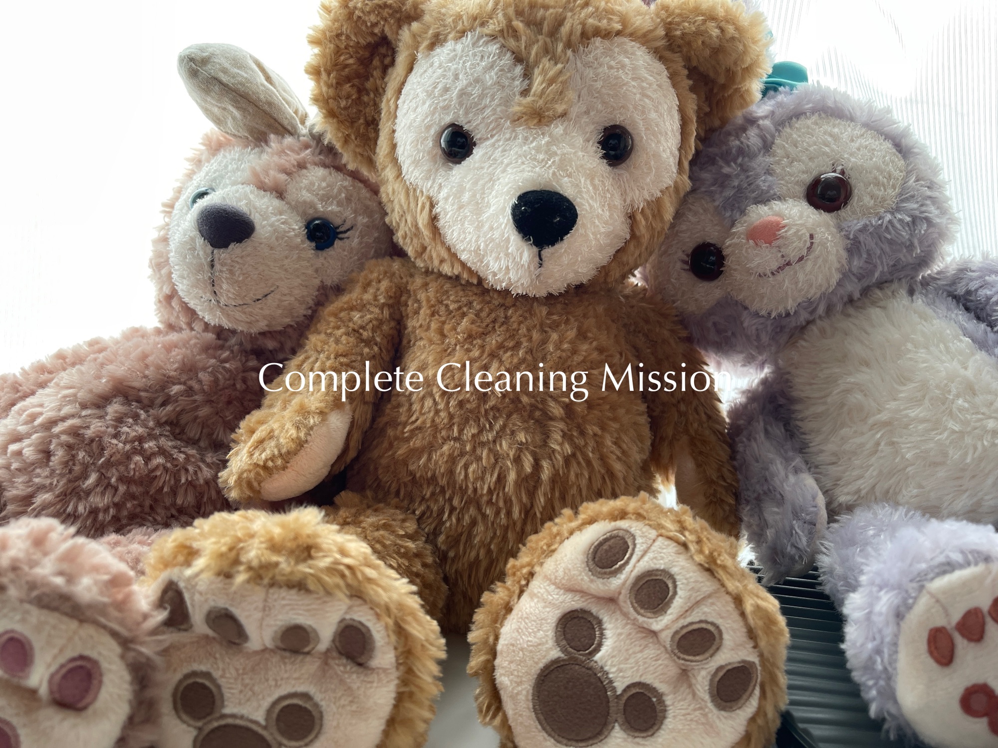 Today’s terrace 9/26 | t e r r a c e