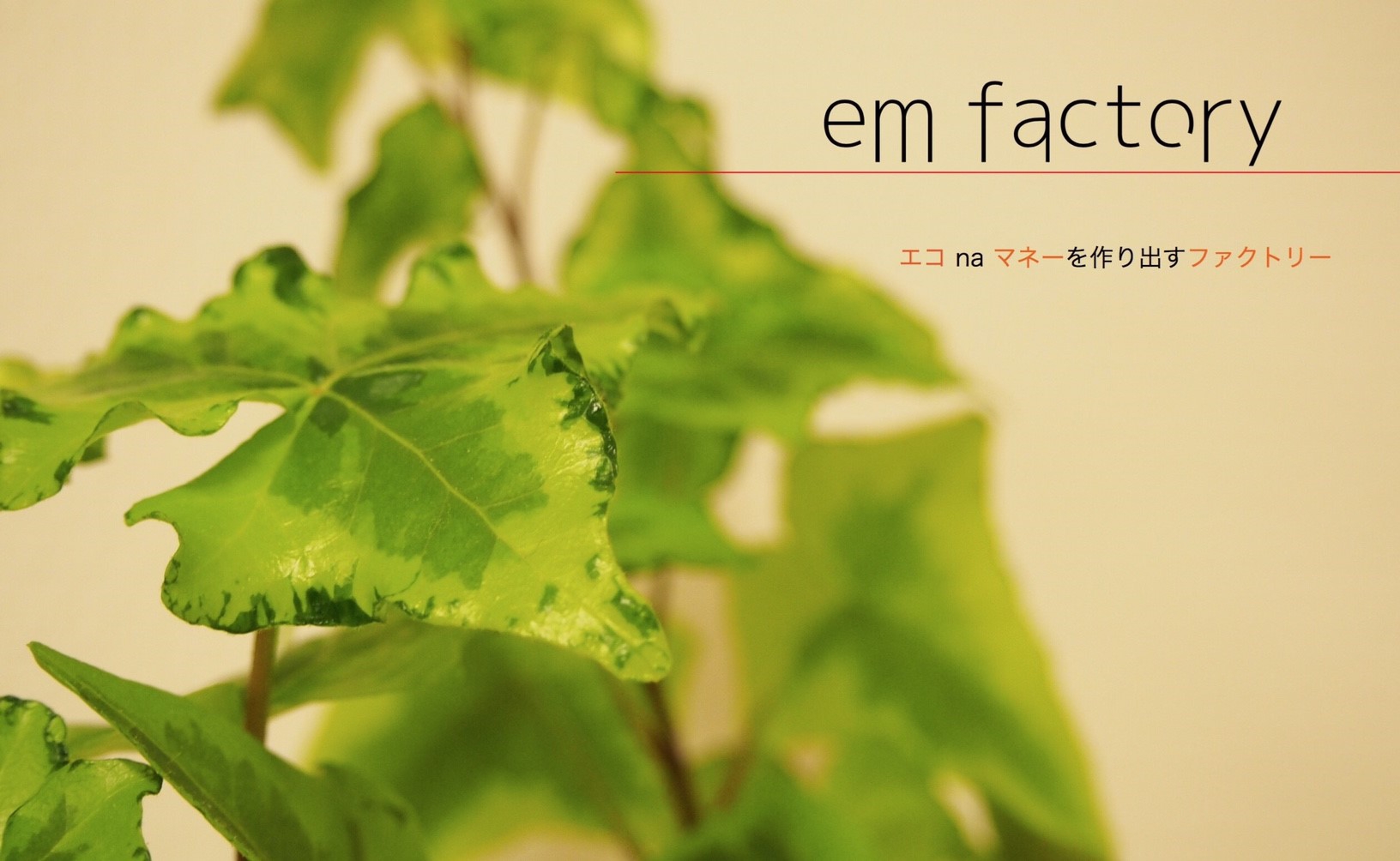 環境学生団体em factory