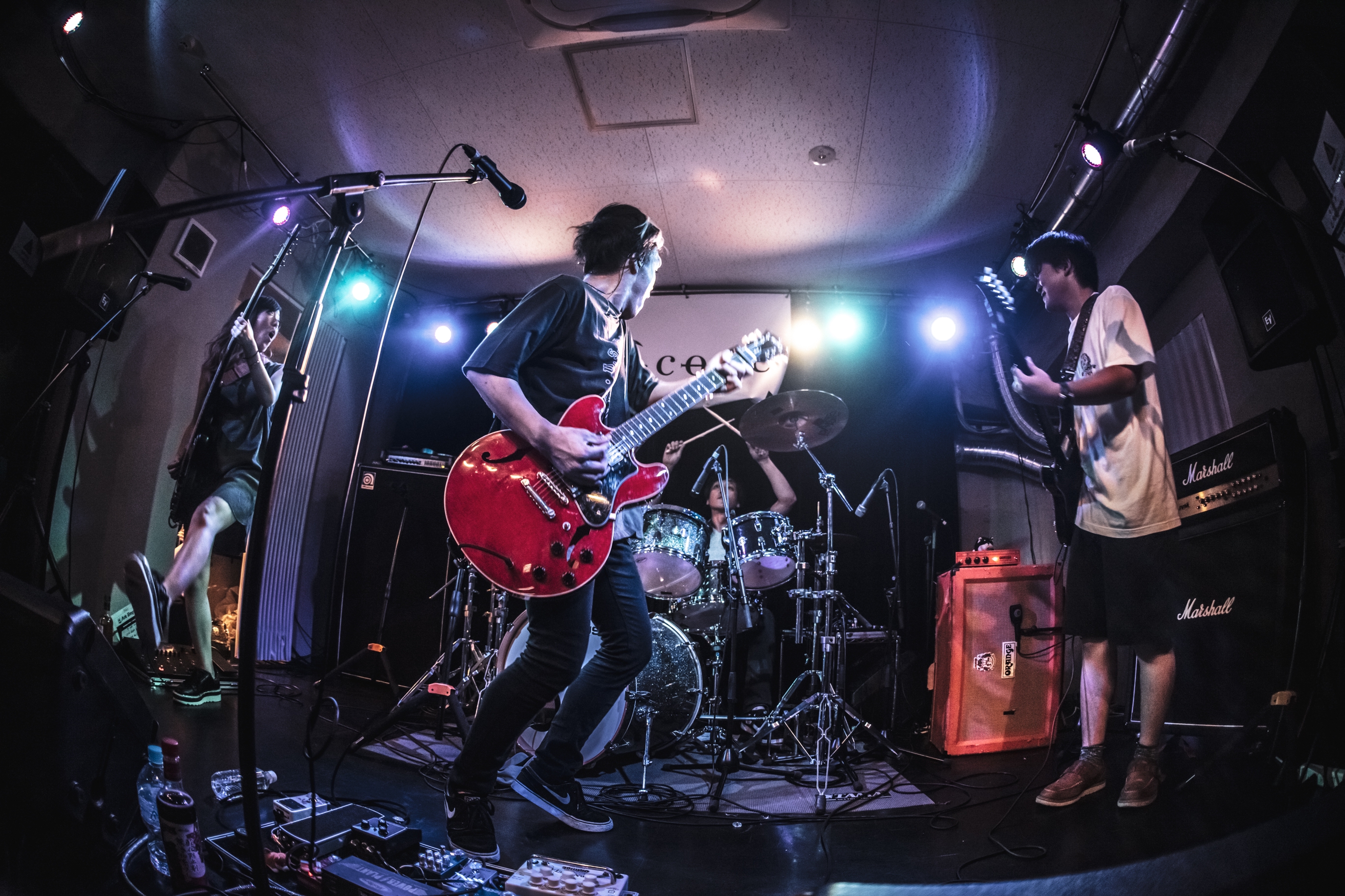 Ark Empty Official Website