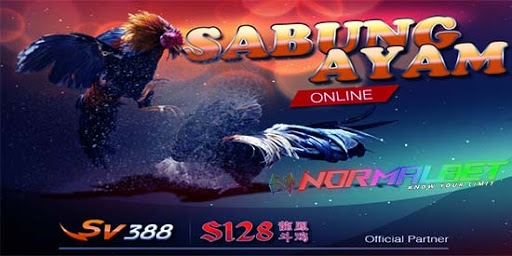 Cara Daftar Akun Sabung Ayam S128 Mudah Dan Terpercaya | Normal Betting