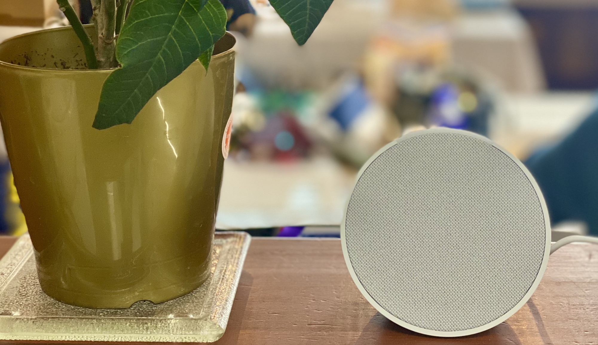 2023.12.19（Tue.） | glass atelier HAKU