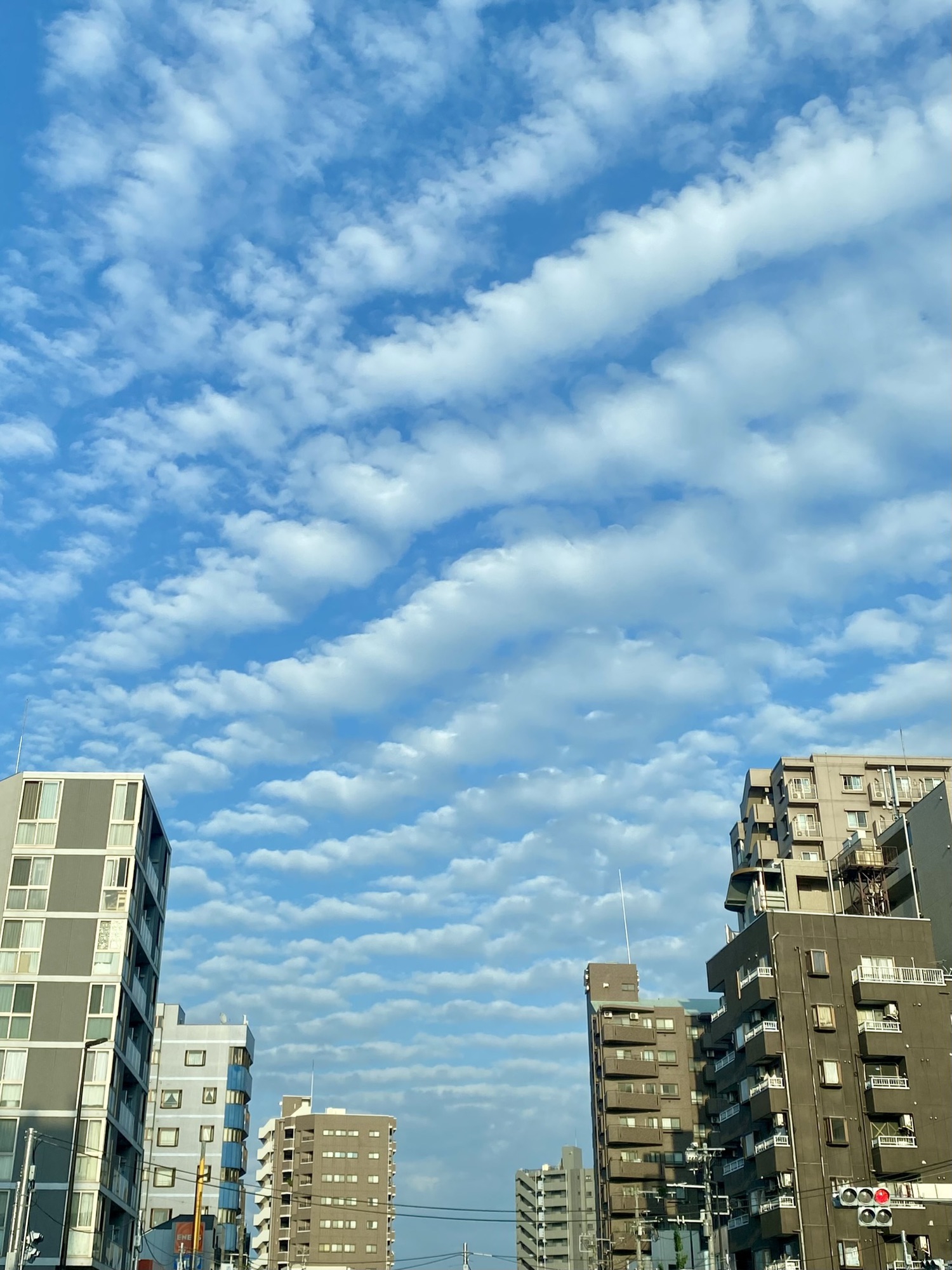 2024.05.25（Sat.） | glass atelier HAKU