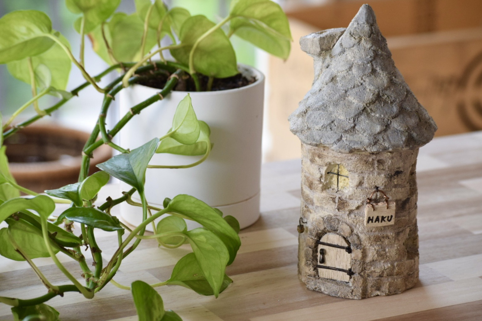 2024.05.26（Sun.） | glass atelier HAKU