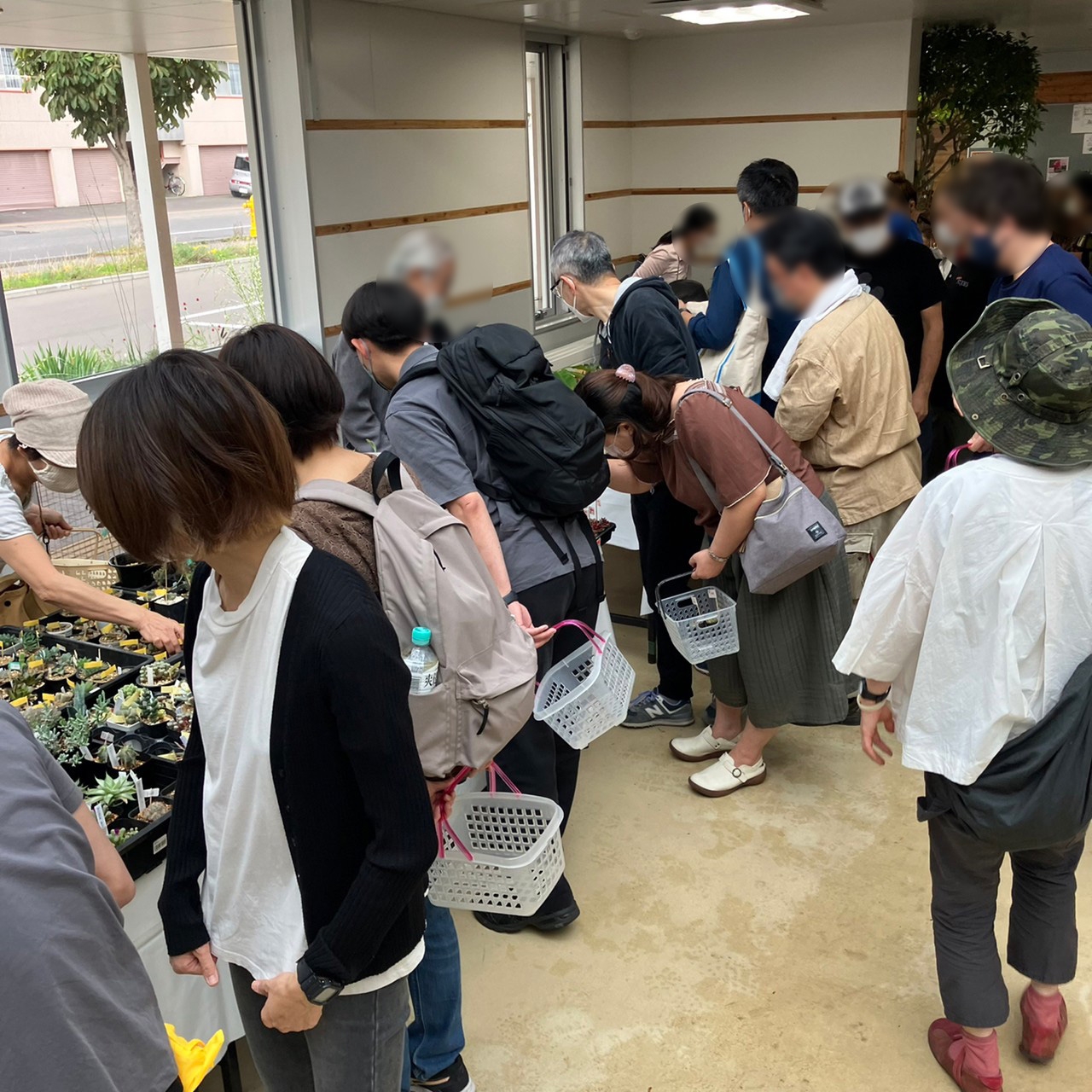 秋の展示会が始まりました | sapporocactusclub's Ownd